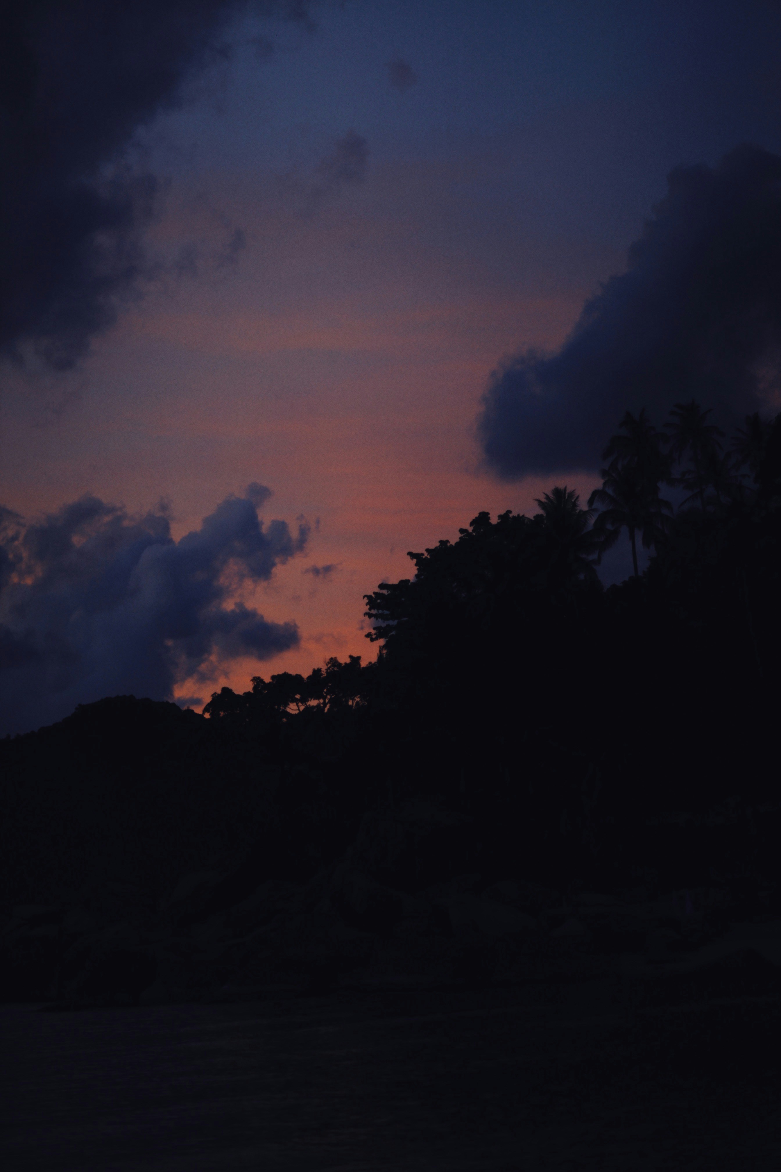 the sun is setting over the trees on the beach