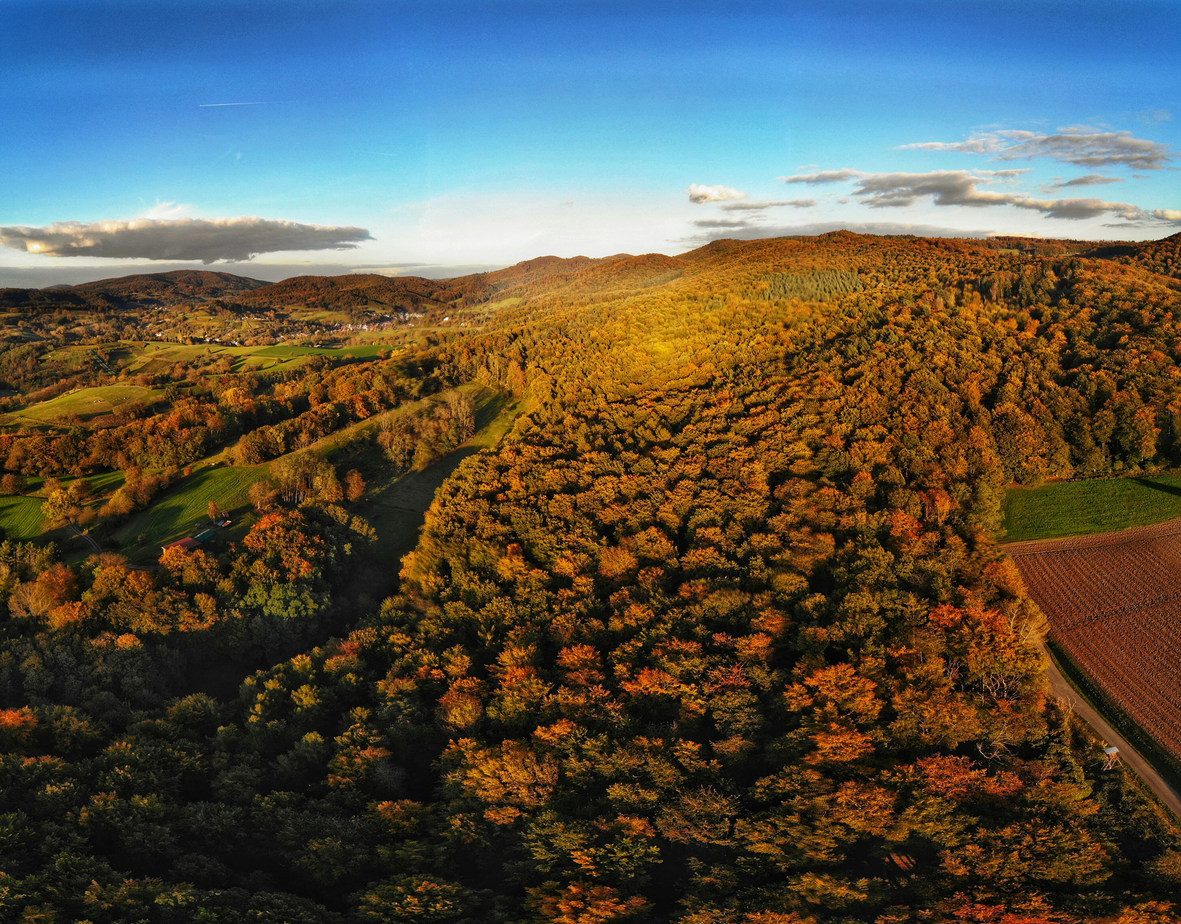 Autumn forest in Hesse, Germany | an aerial view of a lush green forest
