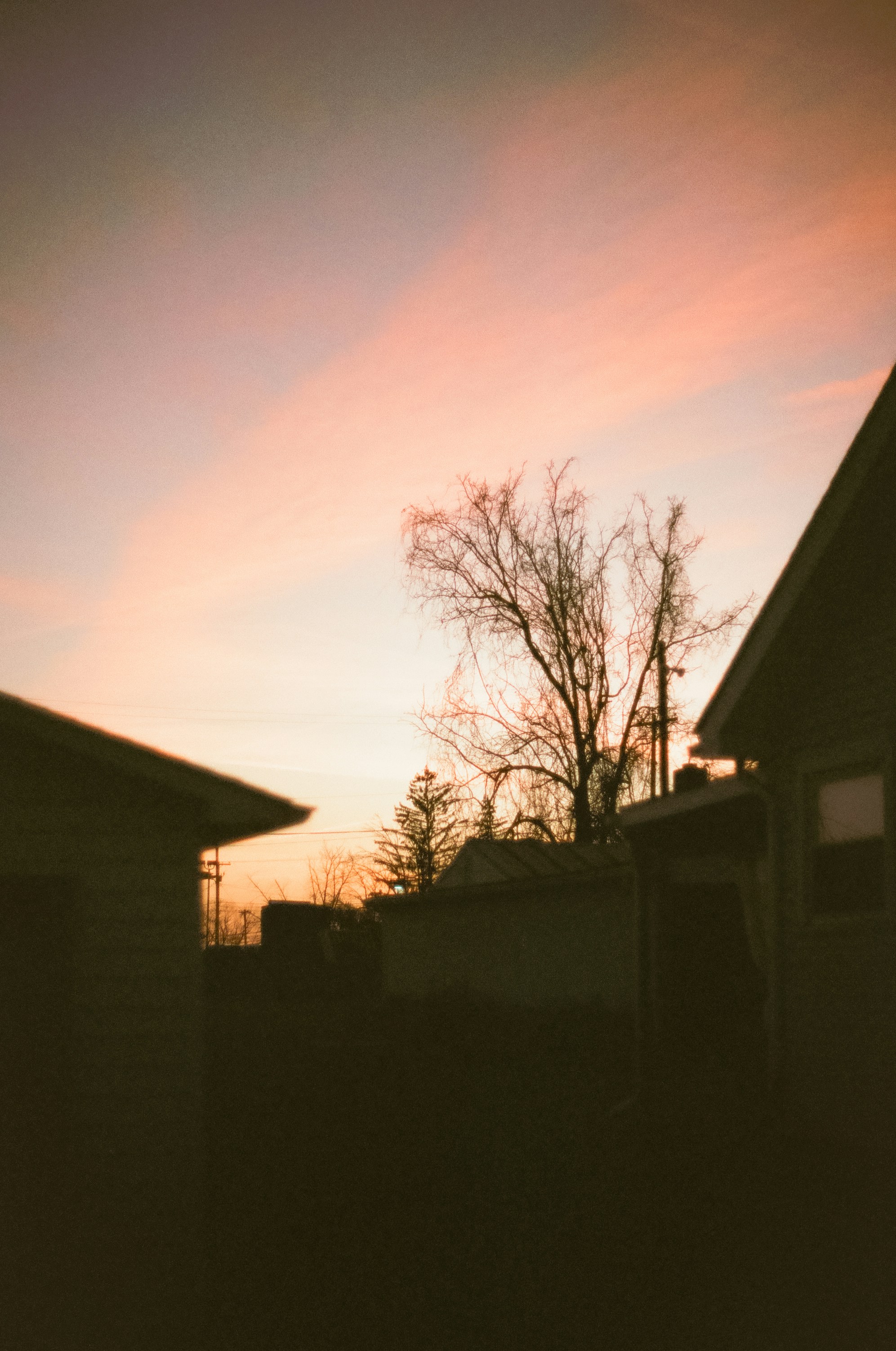 A view of a sunset from a back yard photo – Free Sunset Image on Unsplash