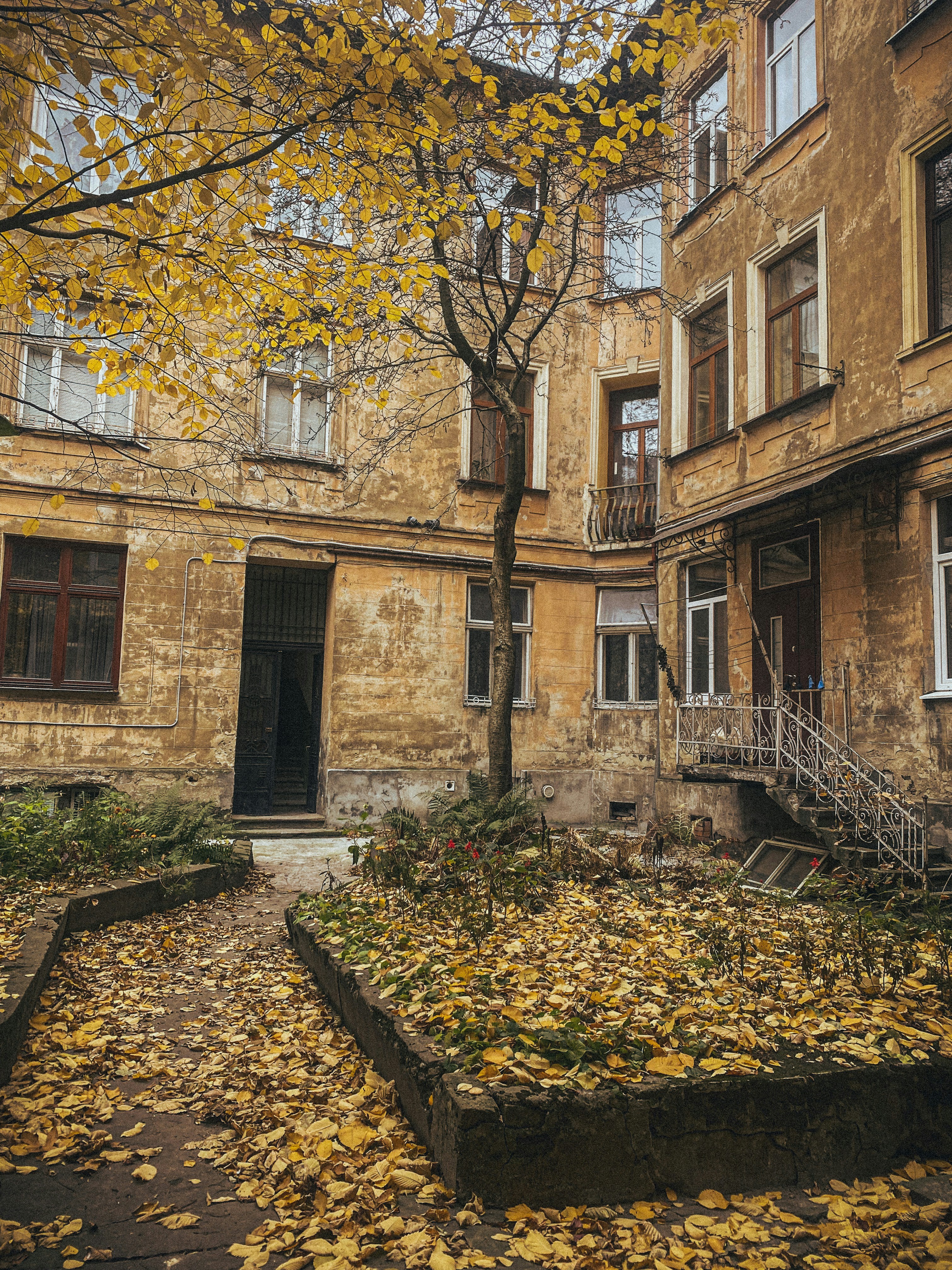 Goldfall Courtyard: Autumn's Quiet Between Weathered Facades