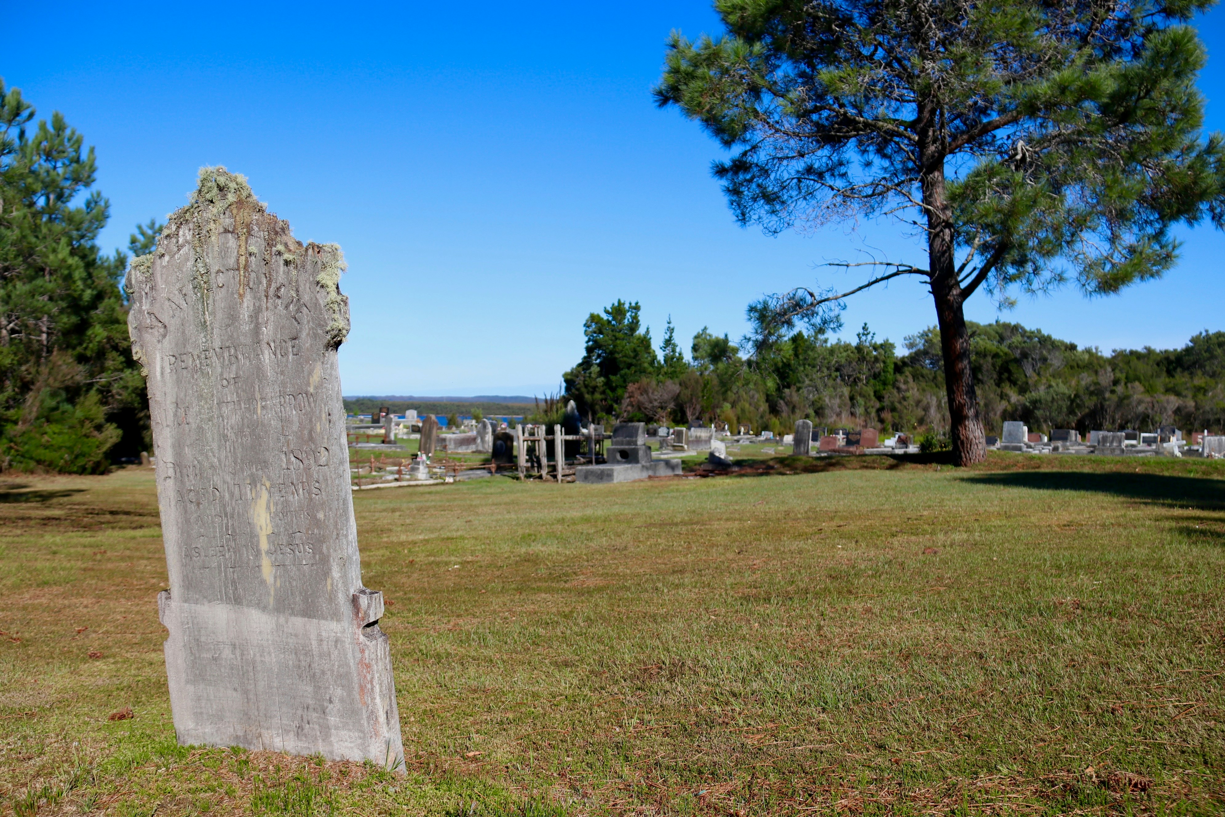 Leaning Sentinel: A Weathered Gravestone in a Sunlit Cemetery