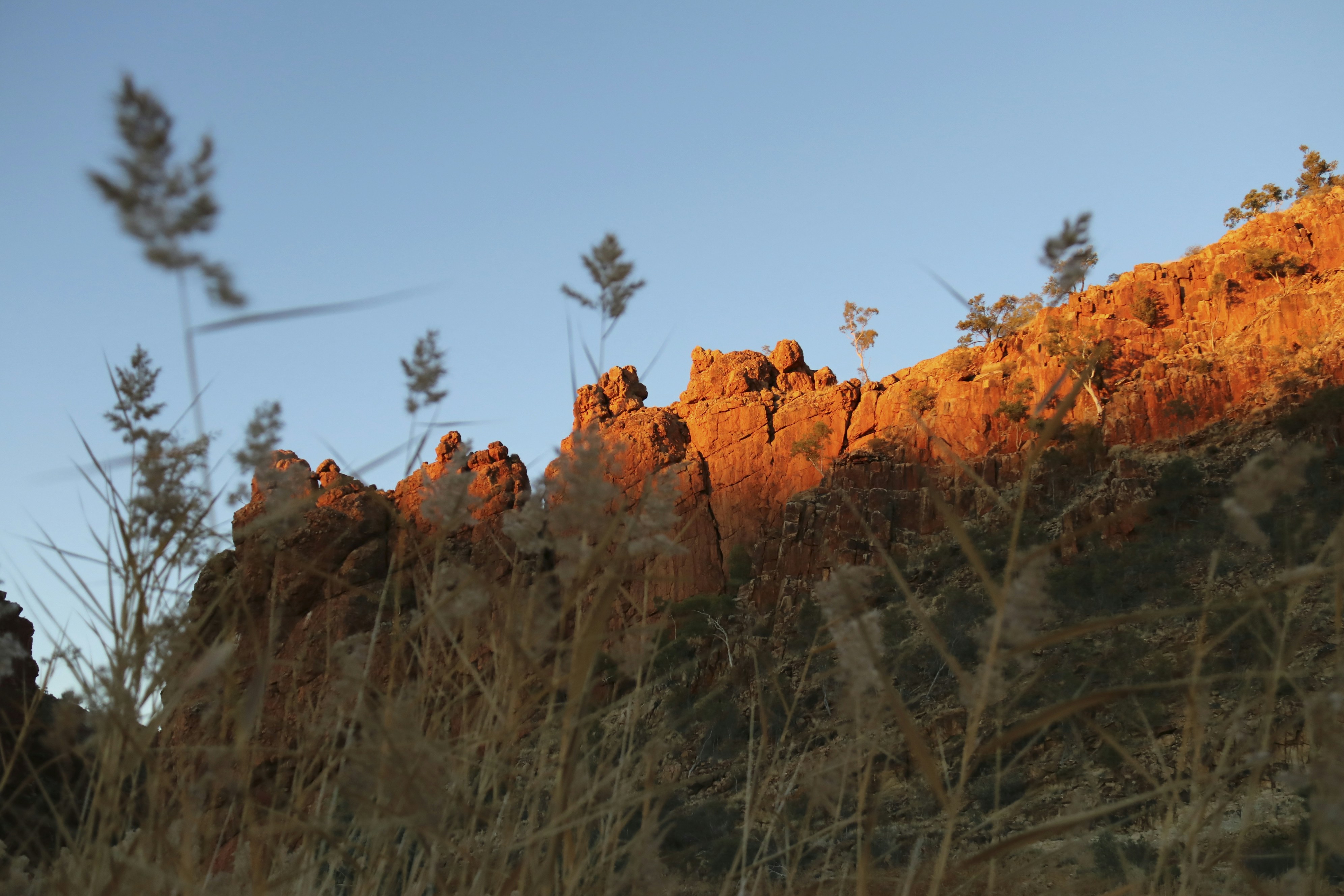Sunlit Ridge: Crimson Rocks Crown the Quiet Hill