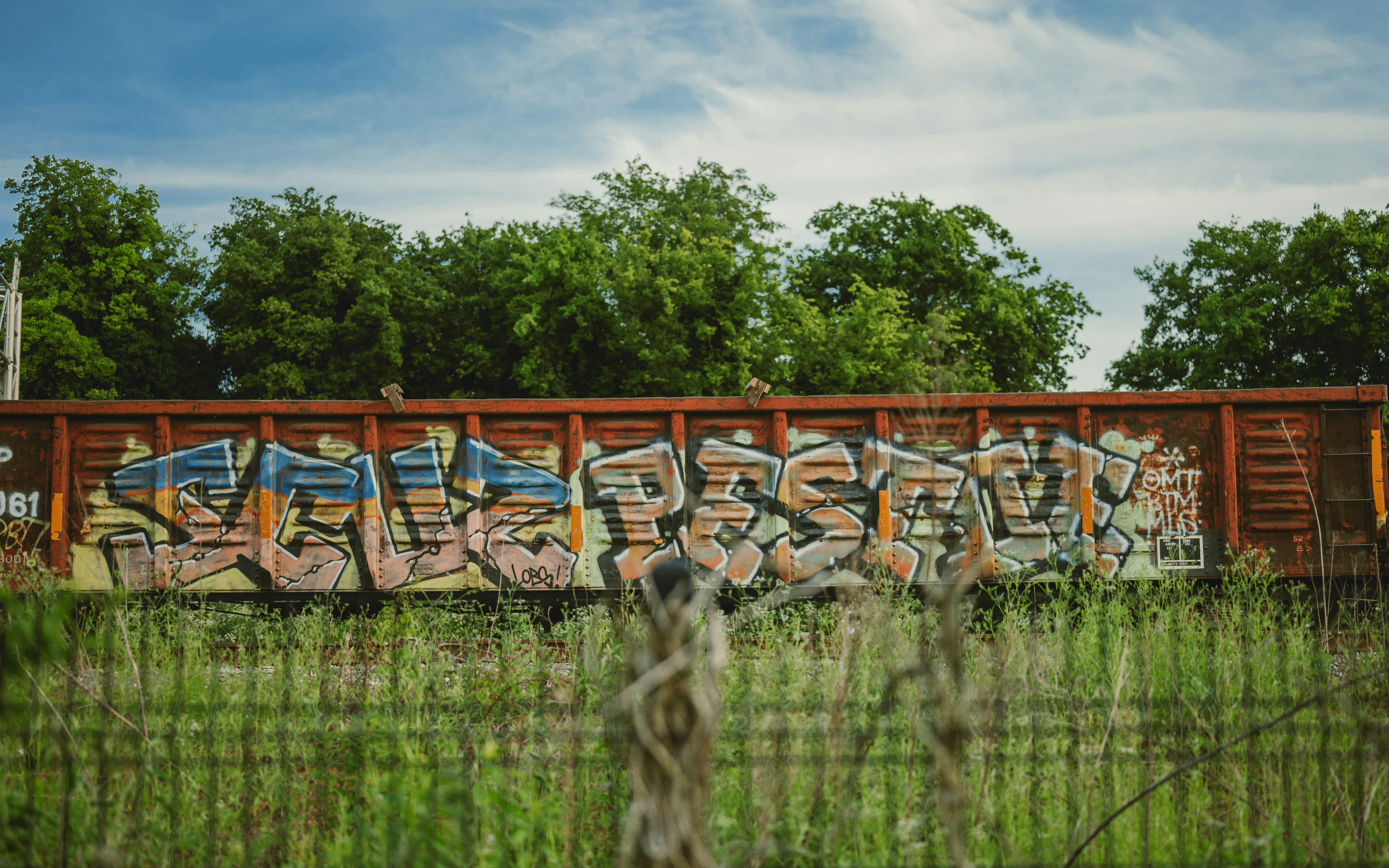 Urban Canvas: The Story of Graffiti on Steel