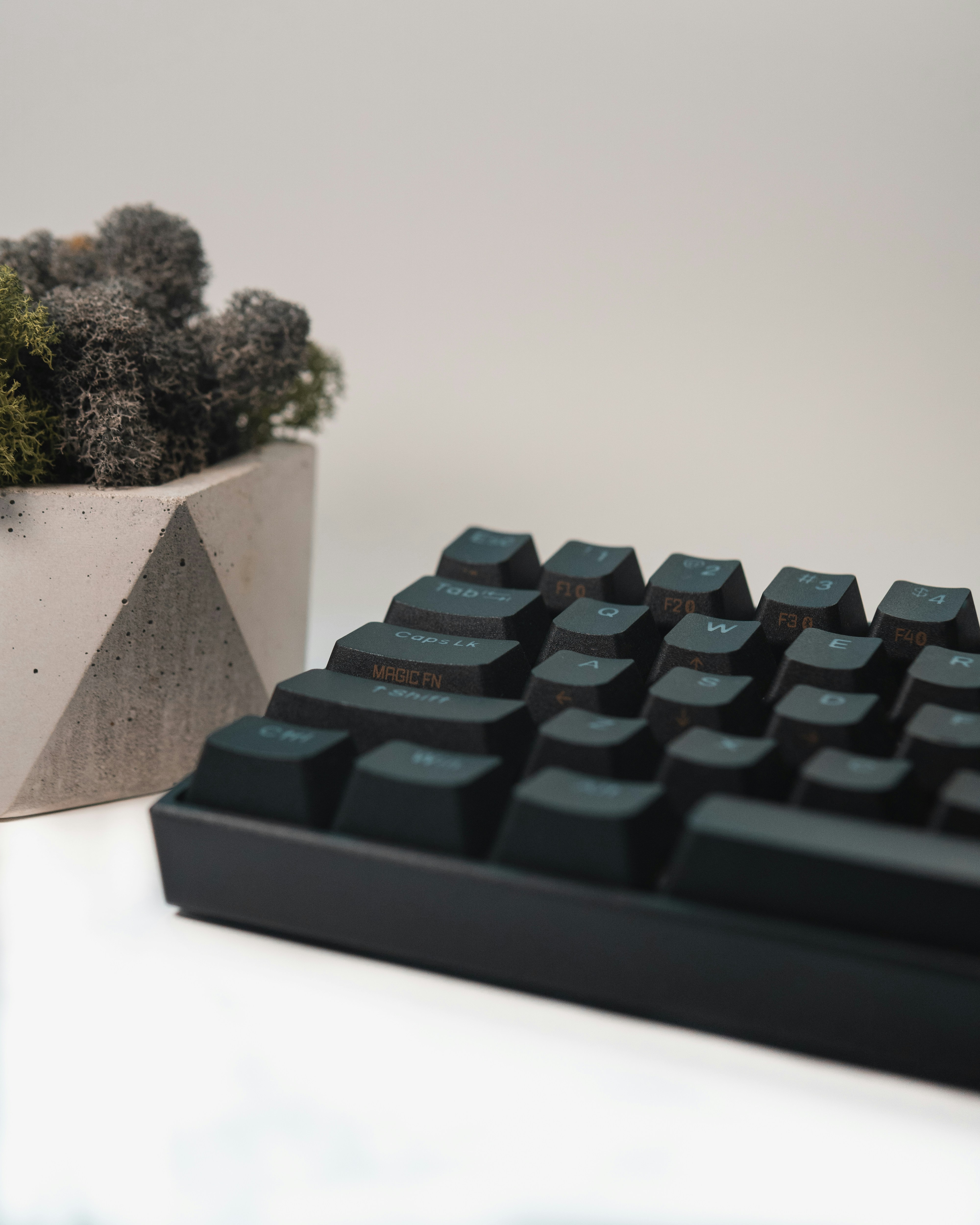A black computer keyboard sitting next to a potted plant photo – Free ...