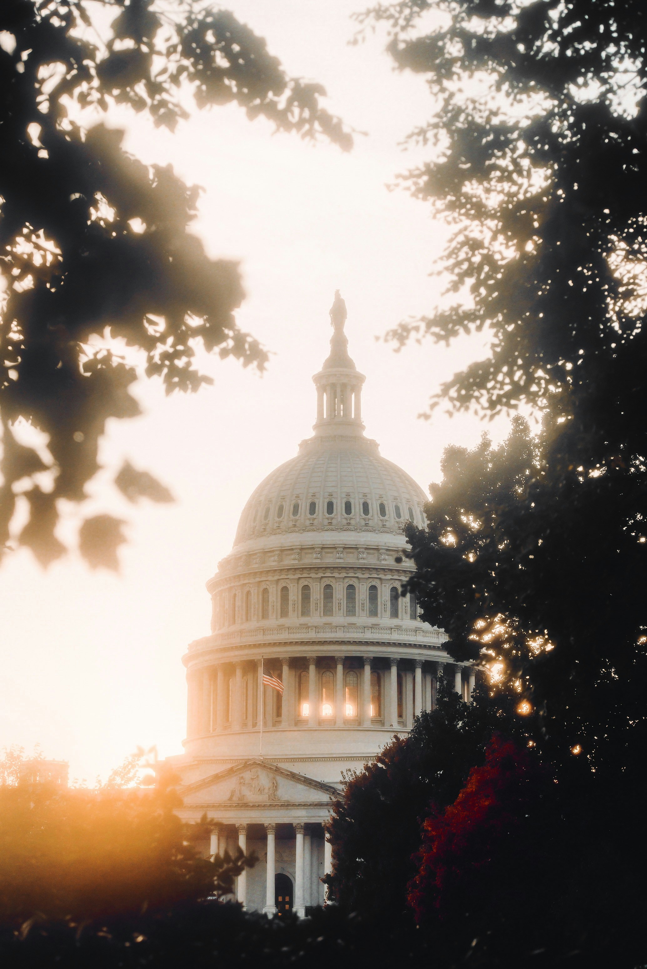 The U.S. Capitol building peeks through lush foliage as the sun rises, casting a warm glow on its iconic dome.