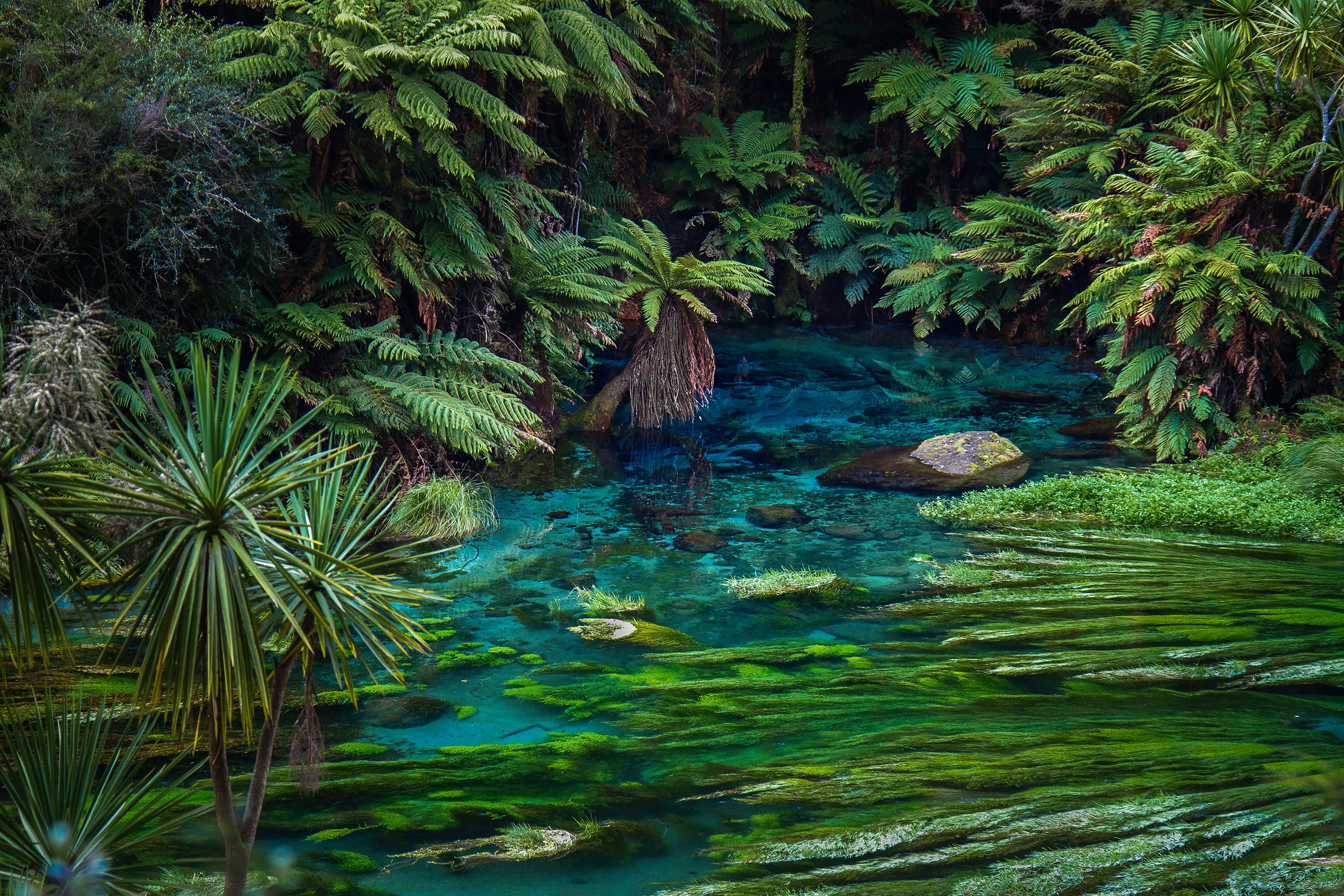 Verdant Oasis by the Emerald Waters