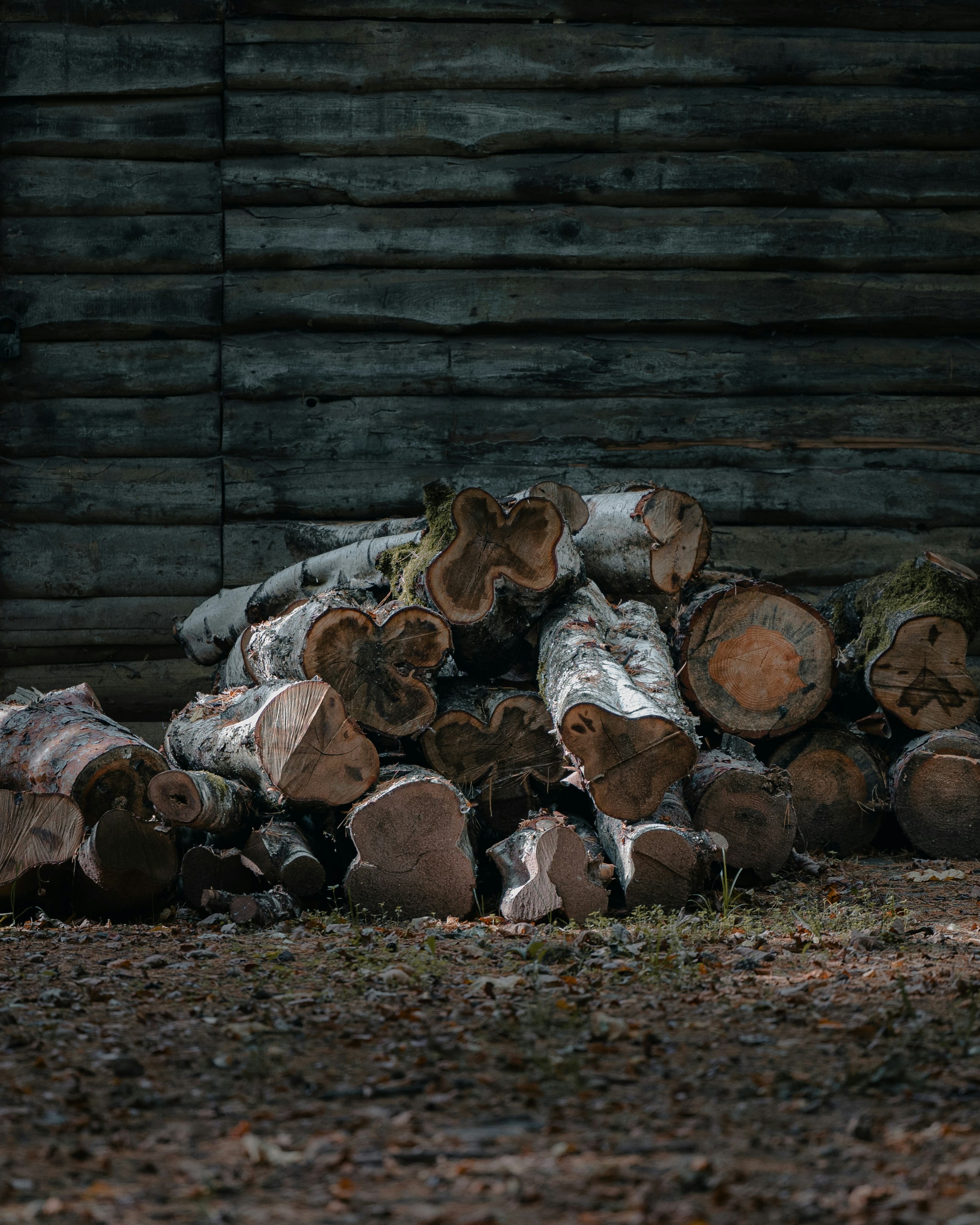 Stacked Logs Under a Weathered Wood Wall