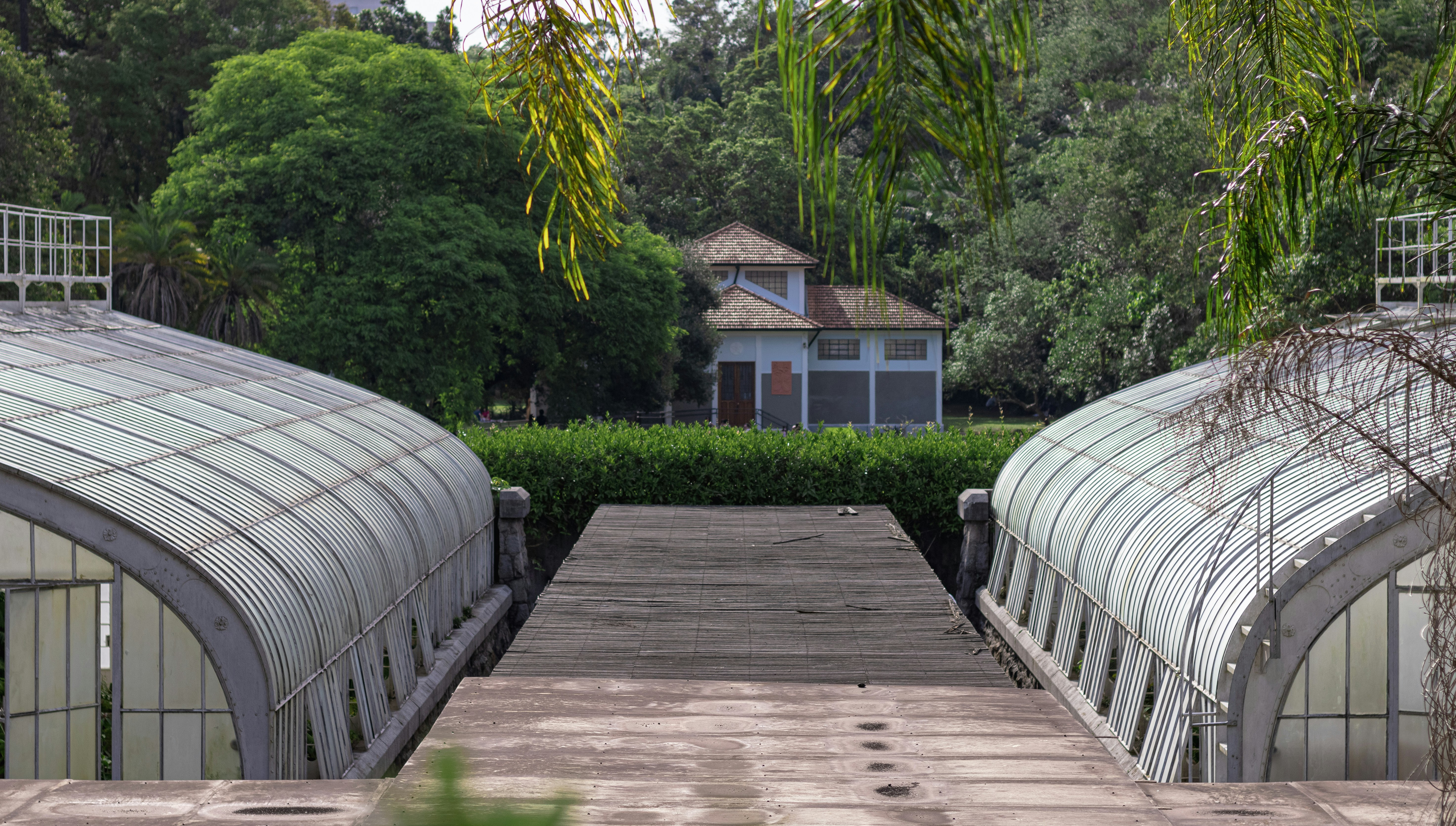 Symmetry in the Garden: A Pathway to Serenity