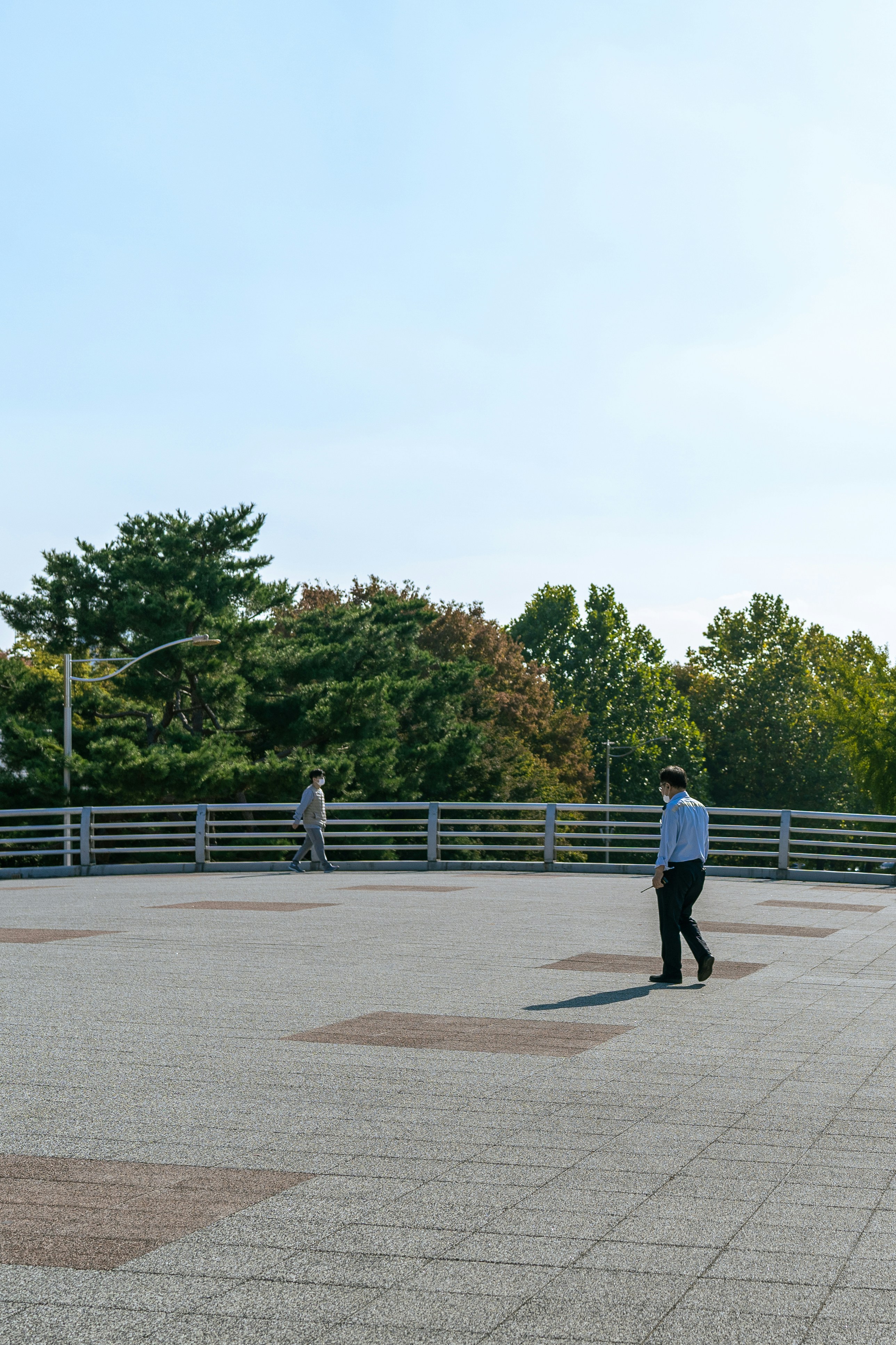 a man is flying a kite in a park