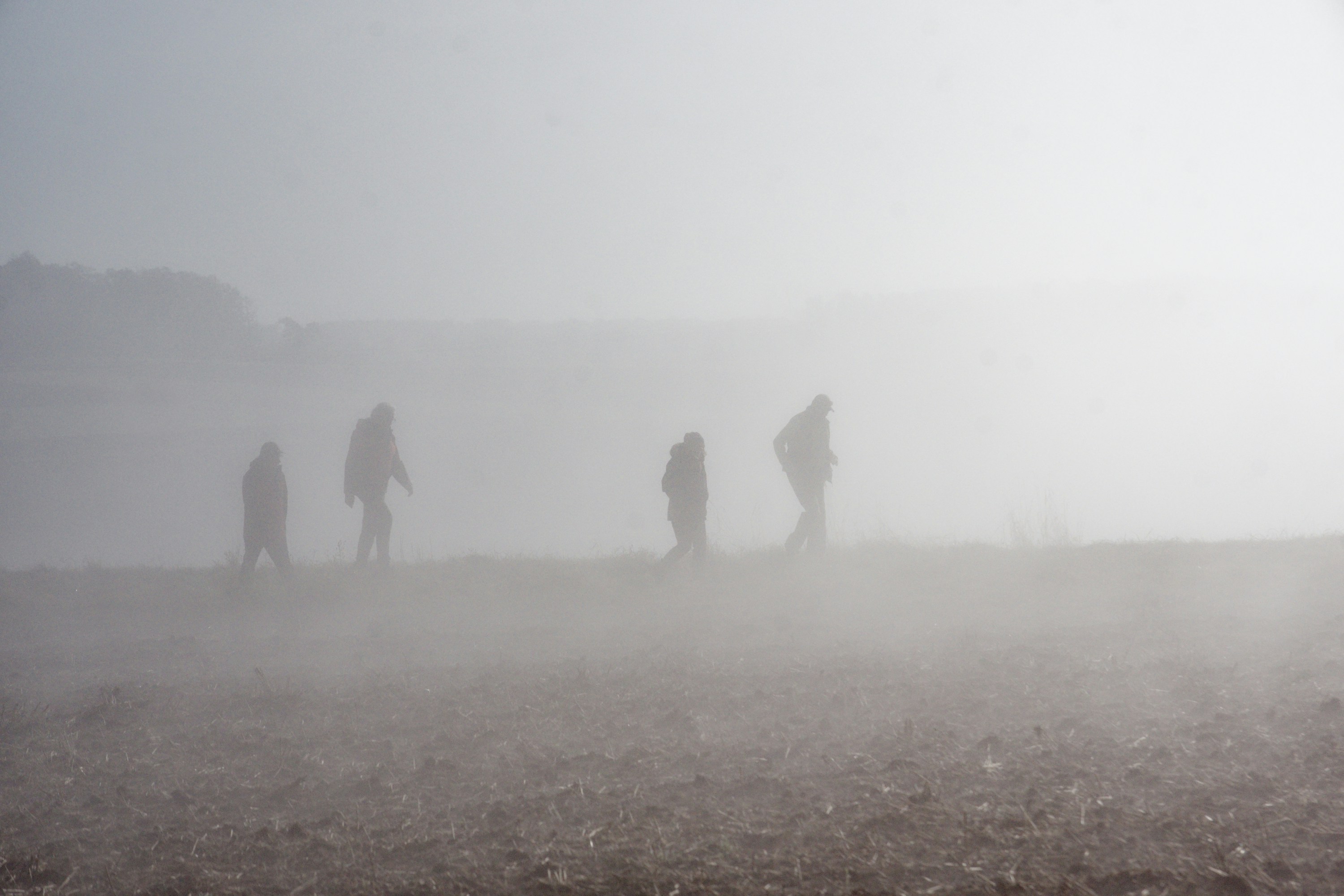 Silhouetted figures walking through a foggy landscape, creating a sense of mystery and introspection.