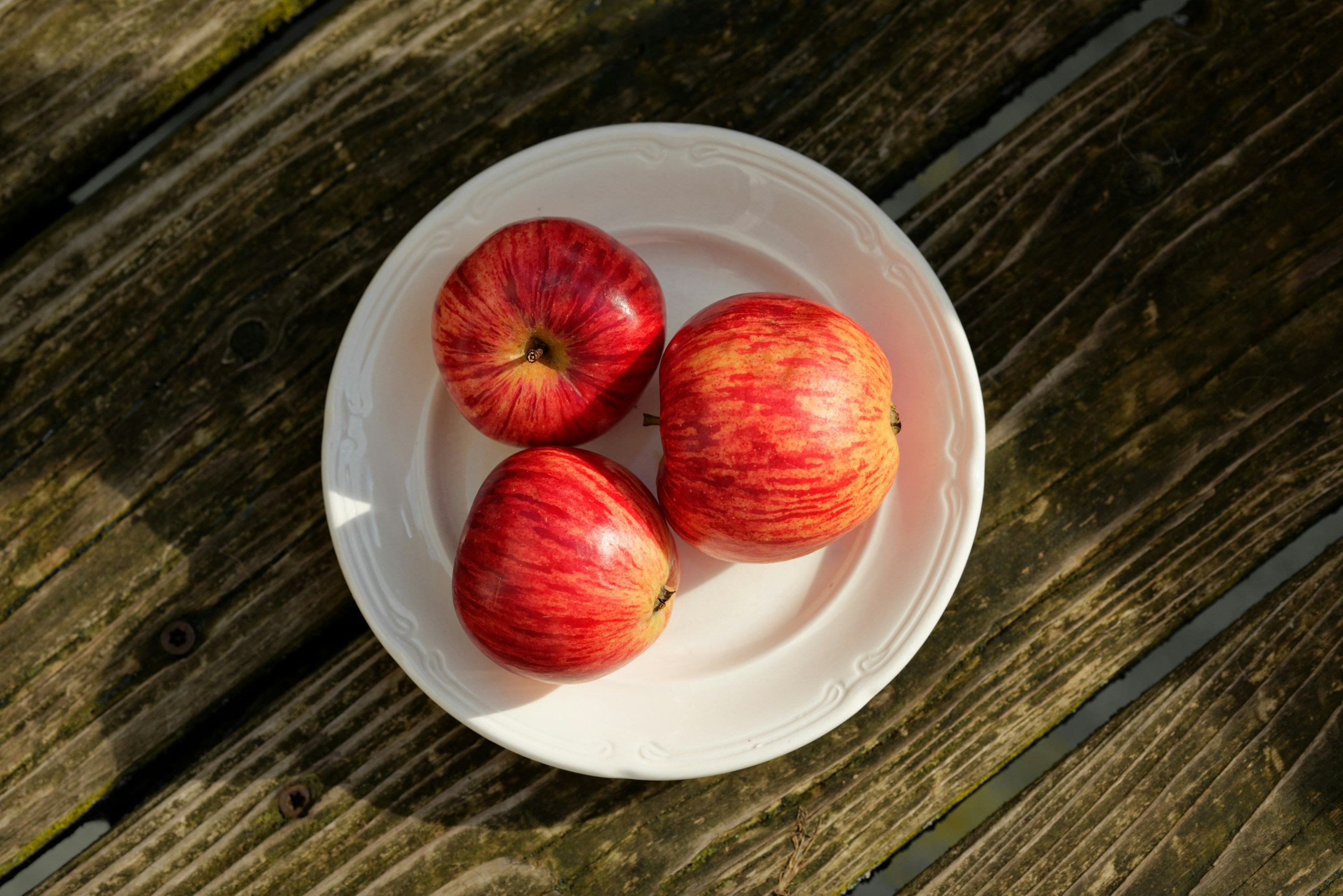 Crimson Trio on Weathered Wood: A Quiet Still-Life