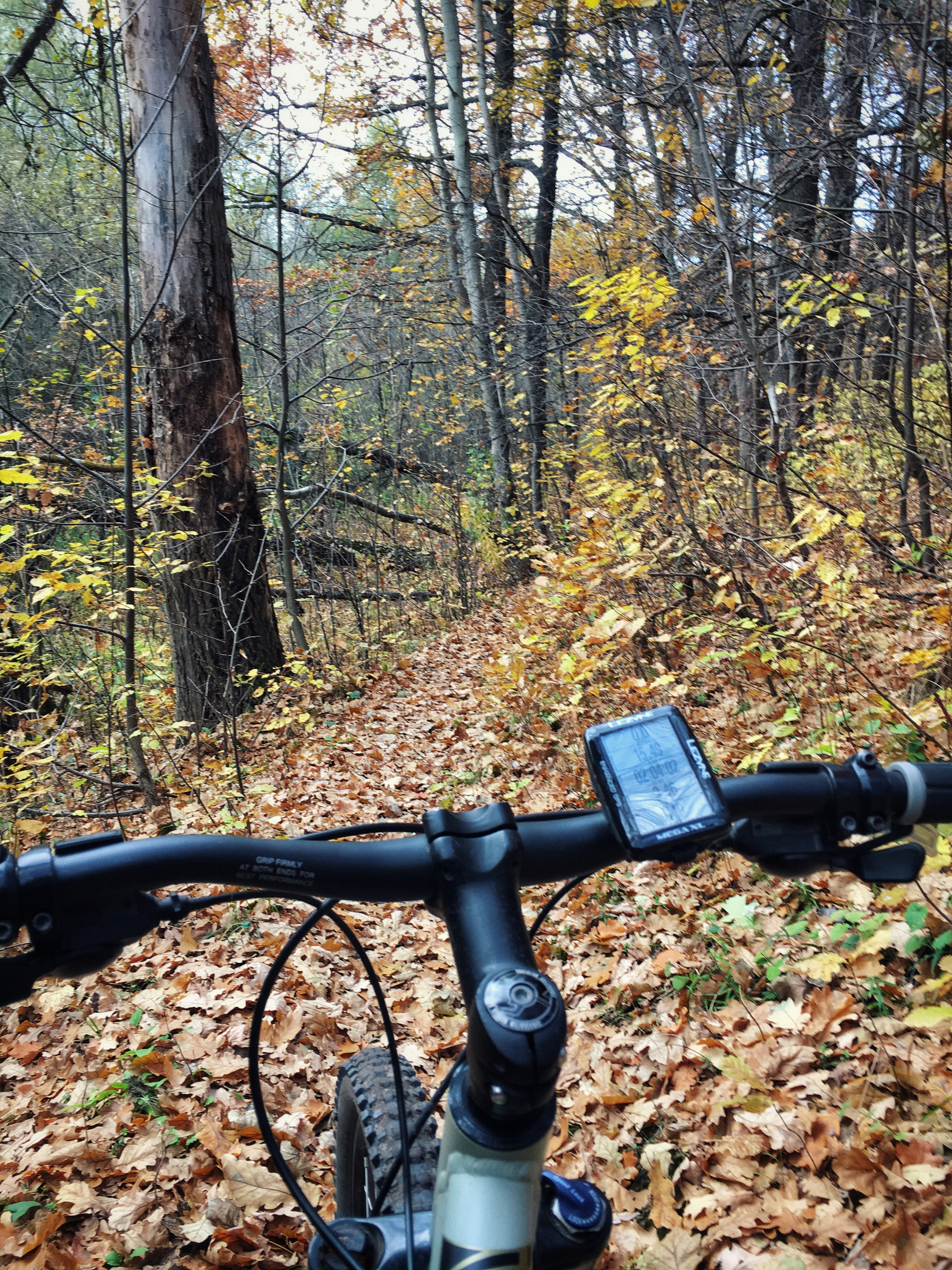 Handlebar Horizon: Autumn Trail Through Leaf-Litter