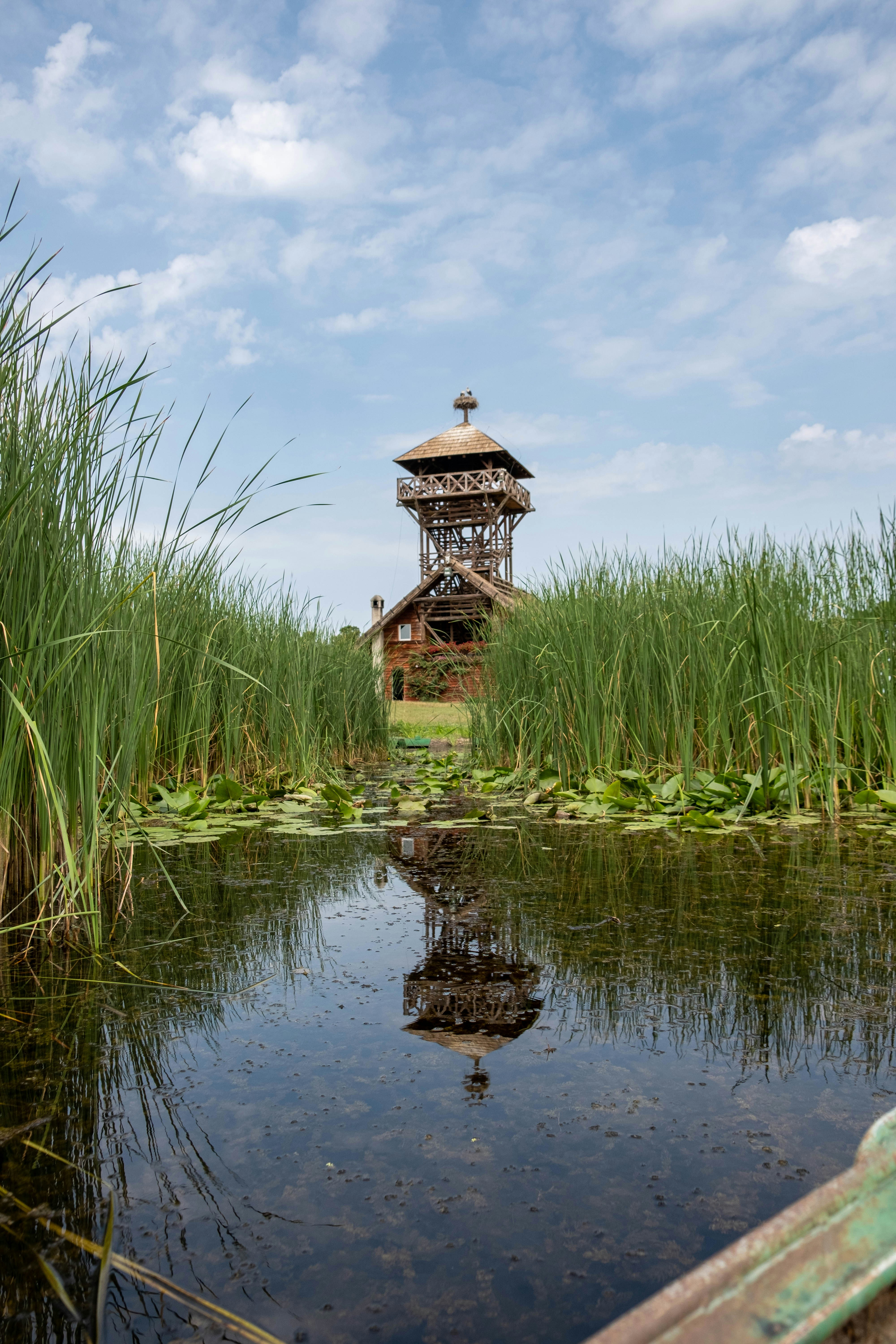 Sentinel on Stilts: A Marsh Tower Framed by Reeds and Water