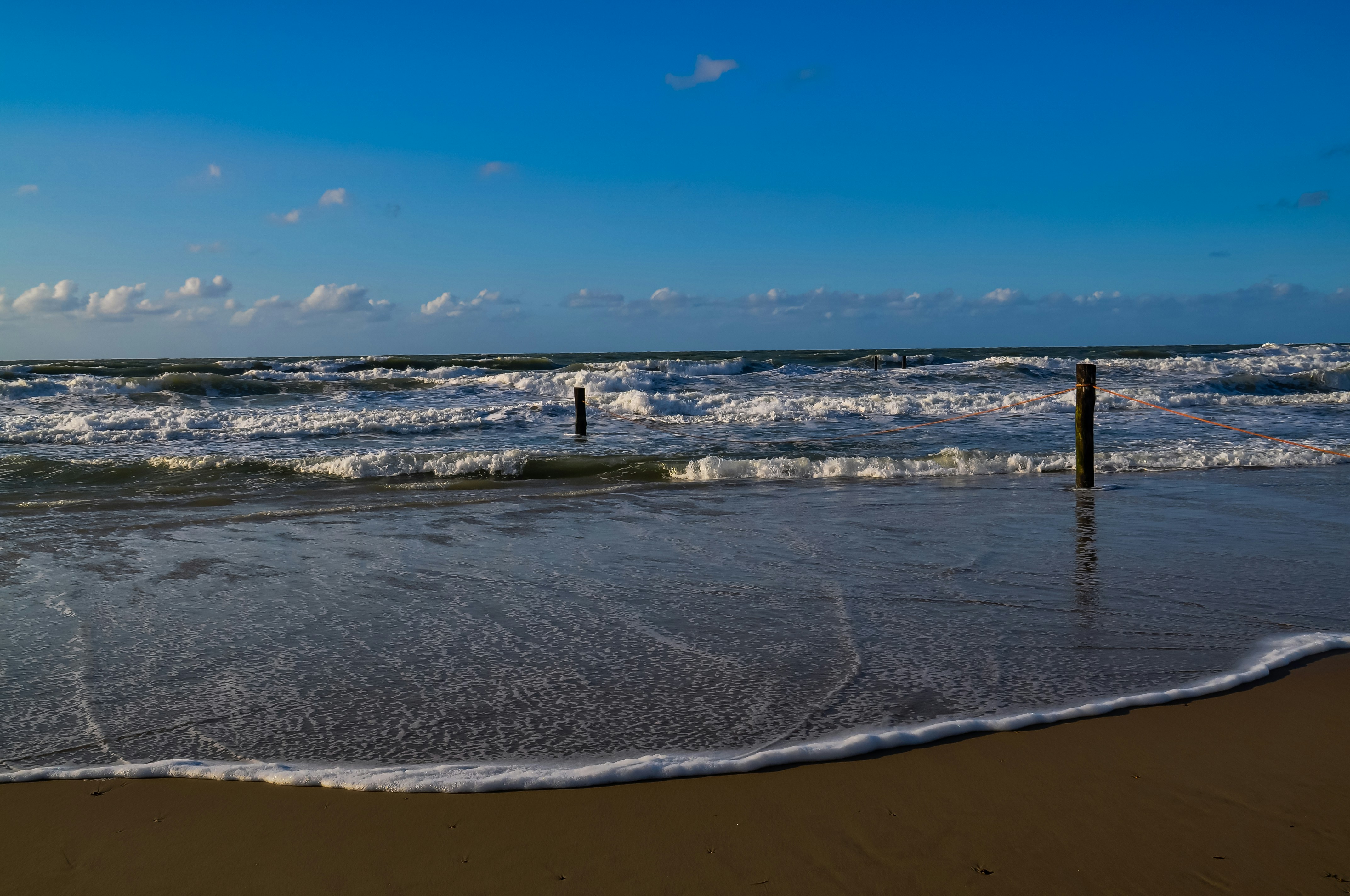 Horizon of Waves and Wooden Markers on a Quiet Shore