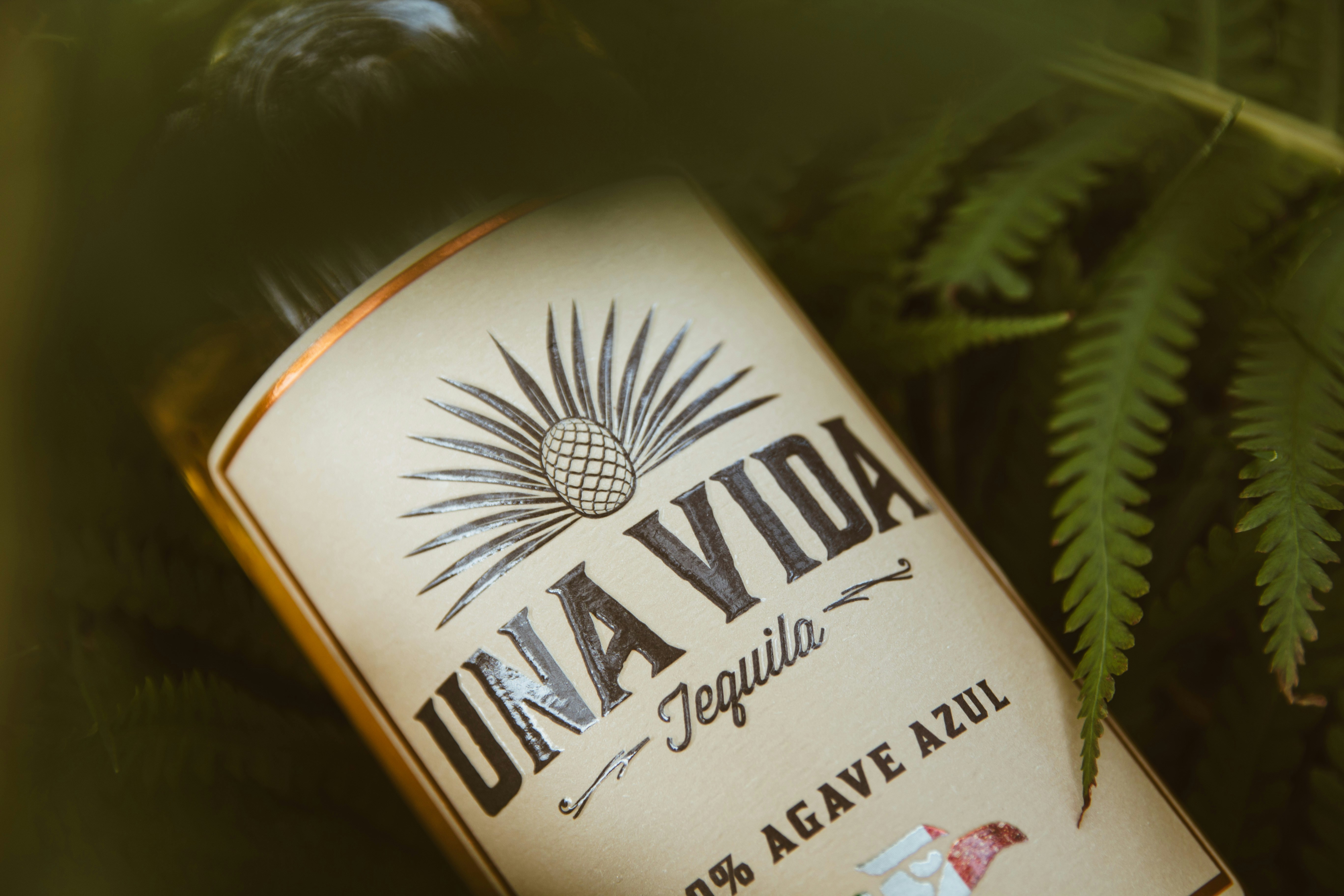 Una Vida Tequila Label Nestled in Fern Fronds