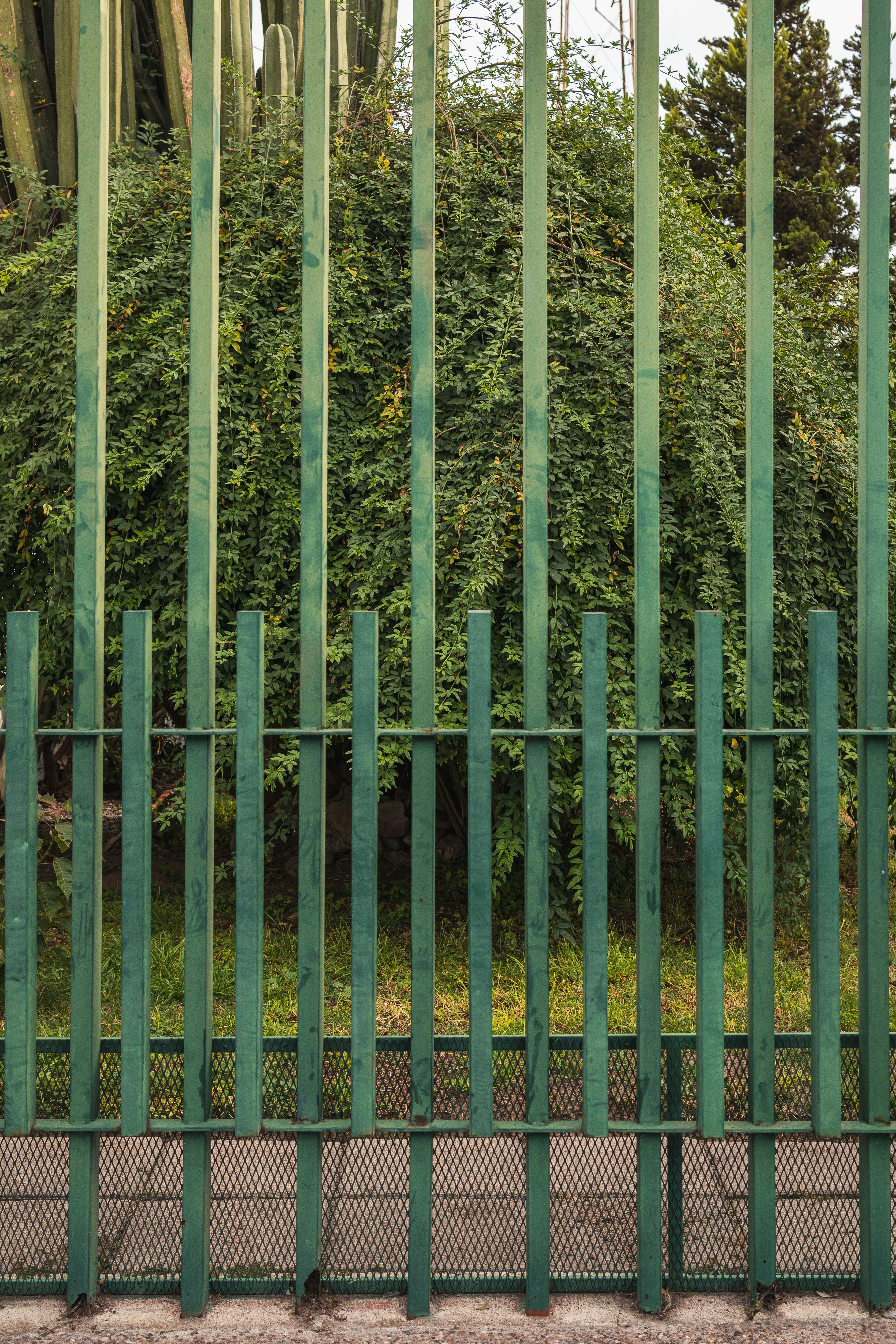 Vertical Harmony: Nature Meets Structure