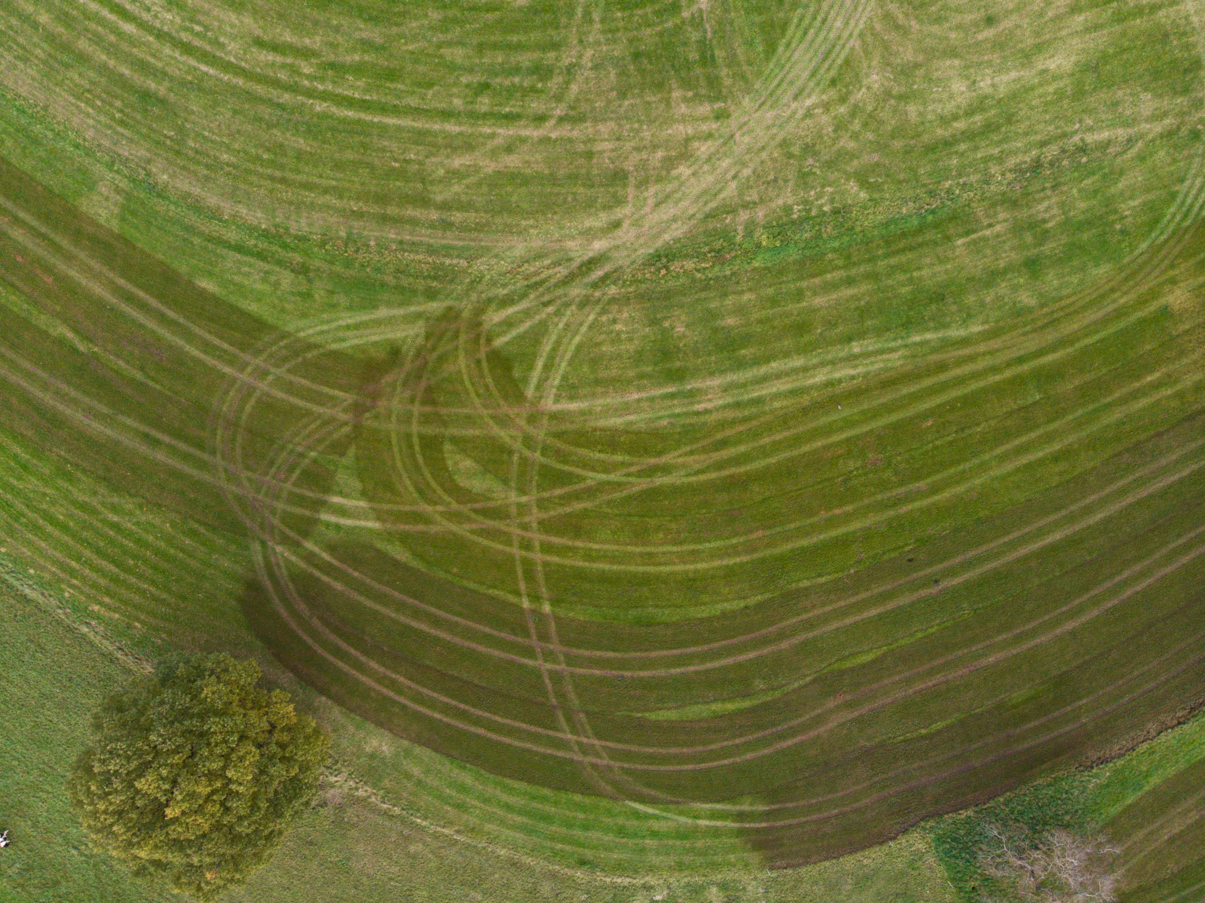 Spiral Threads on a Verdant Quilt: Aerial View of Circular Field Patterns