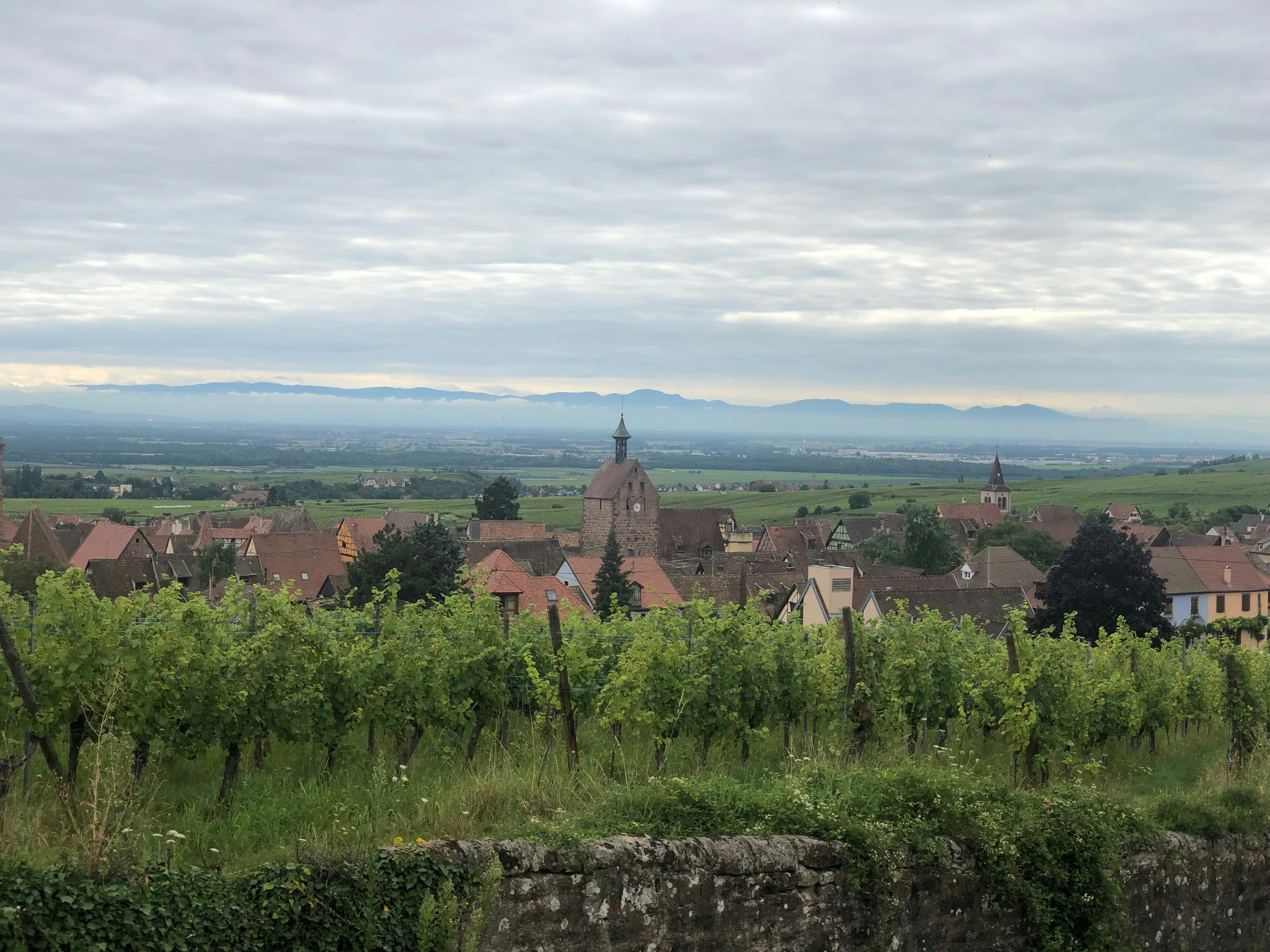 Lush vineyards in the foreground with a picturesque village nestled among rolling hills under a cloudy sky.