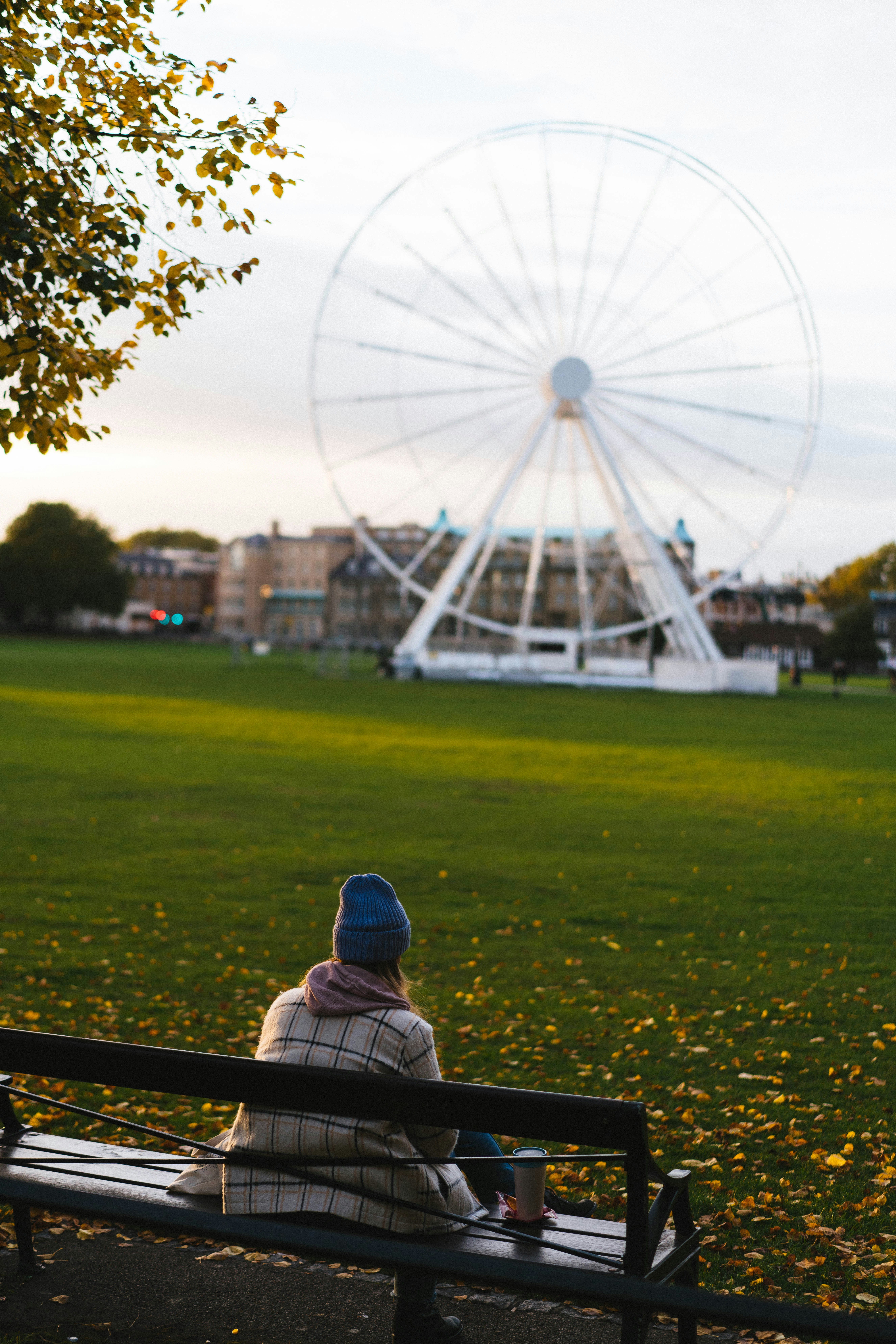 A person sitting on a bench in front of a ferris wheel photo – Free ...