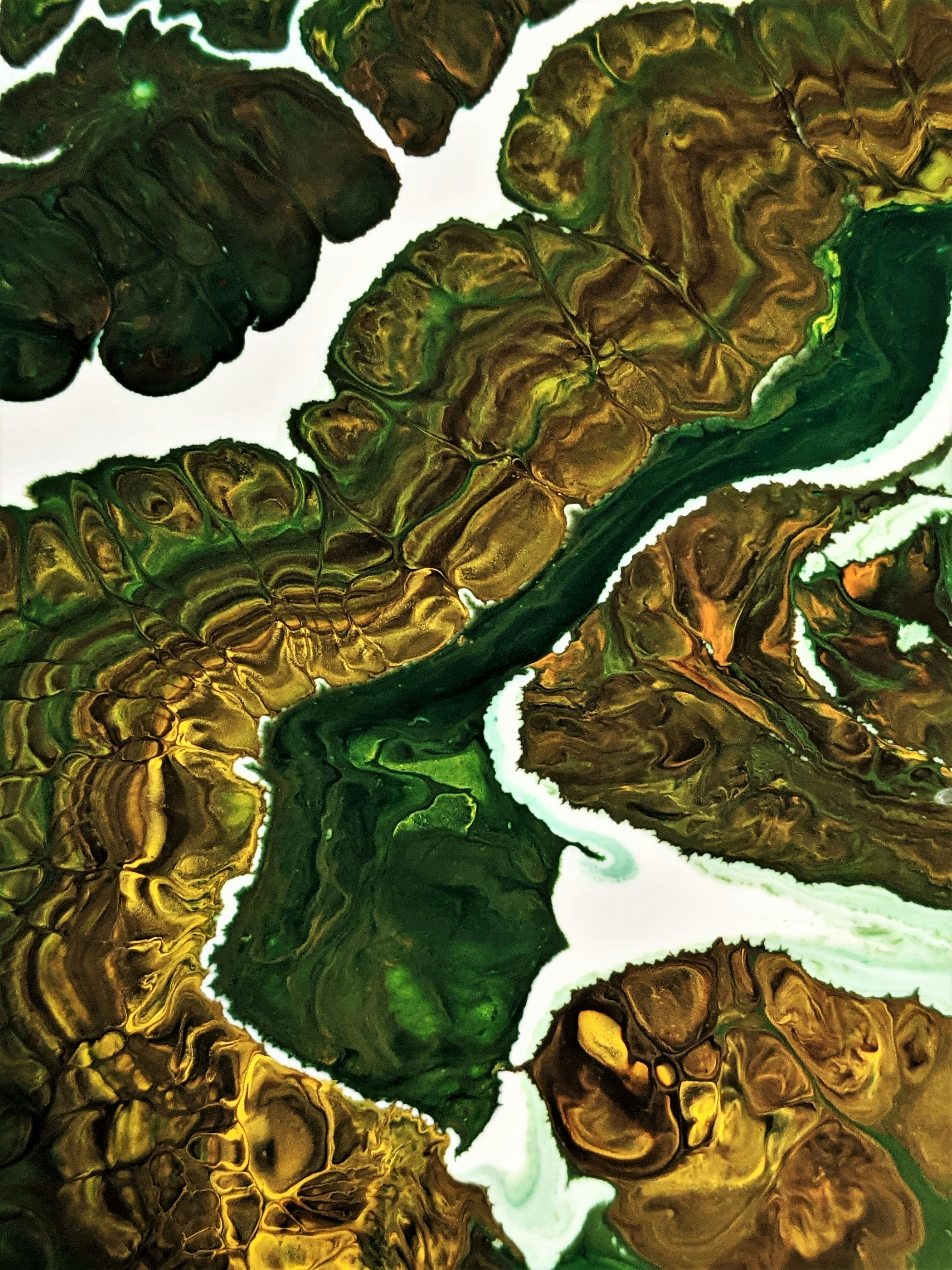 Abstract fluid art showcasing vibrant greens and earthy tones flowing together in a mesmerizing pattern. The interplay of colors creates a dynamic visual experience.