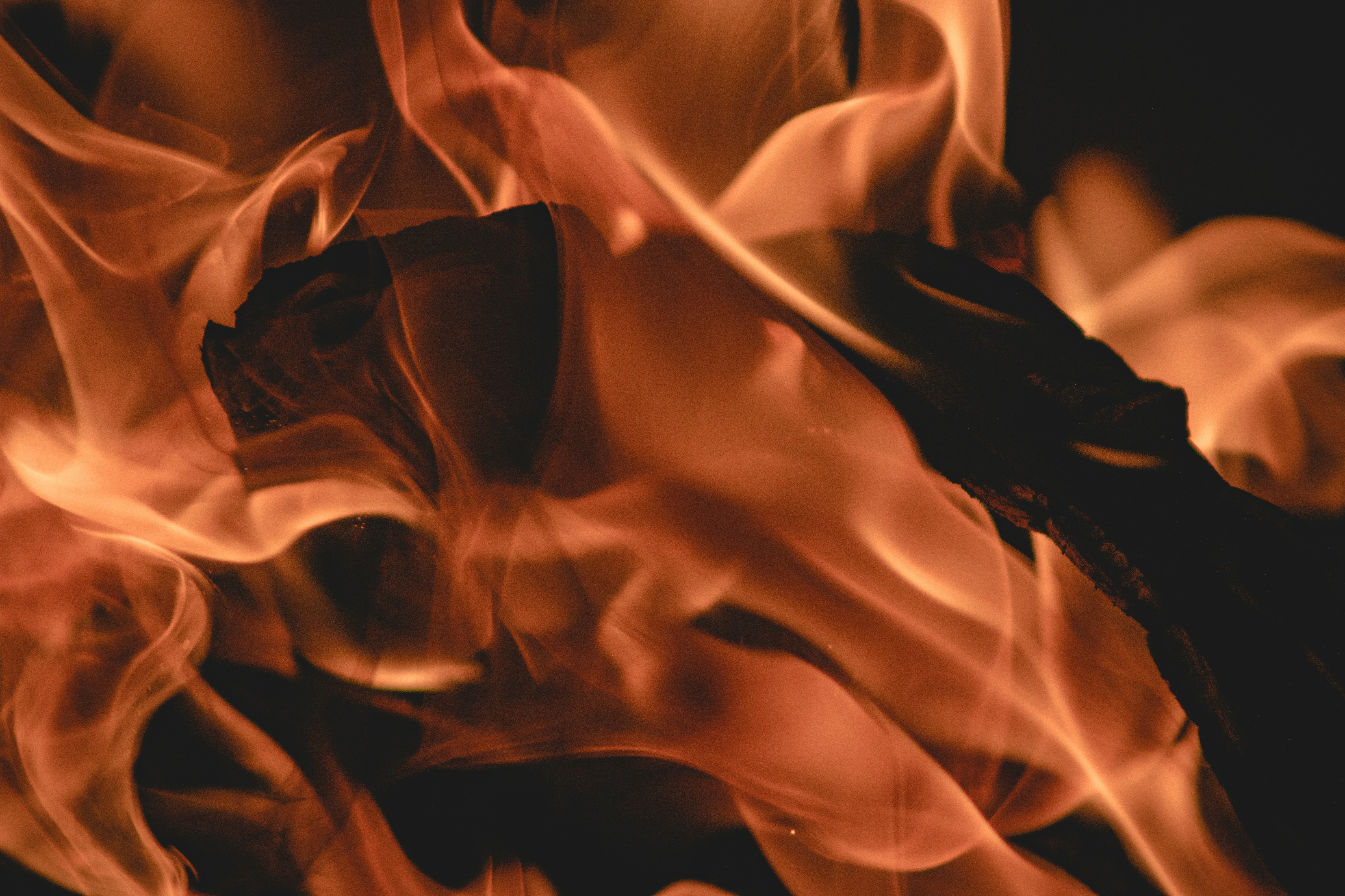 Close-up of vibrant flames swirling around a piece of burning wood, showcasing the dynamic movement and colors of fire.