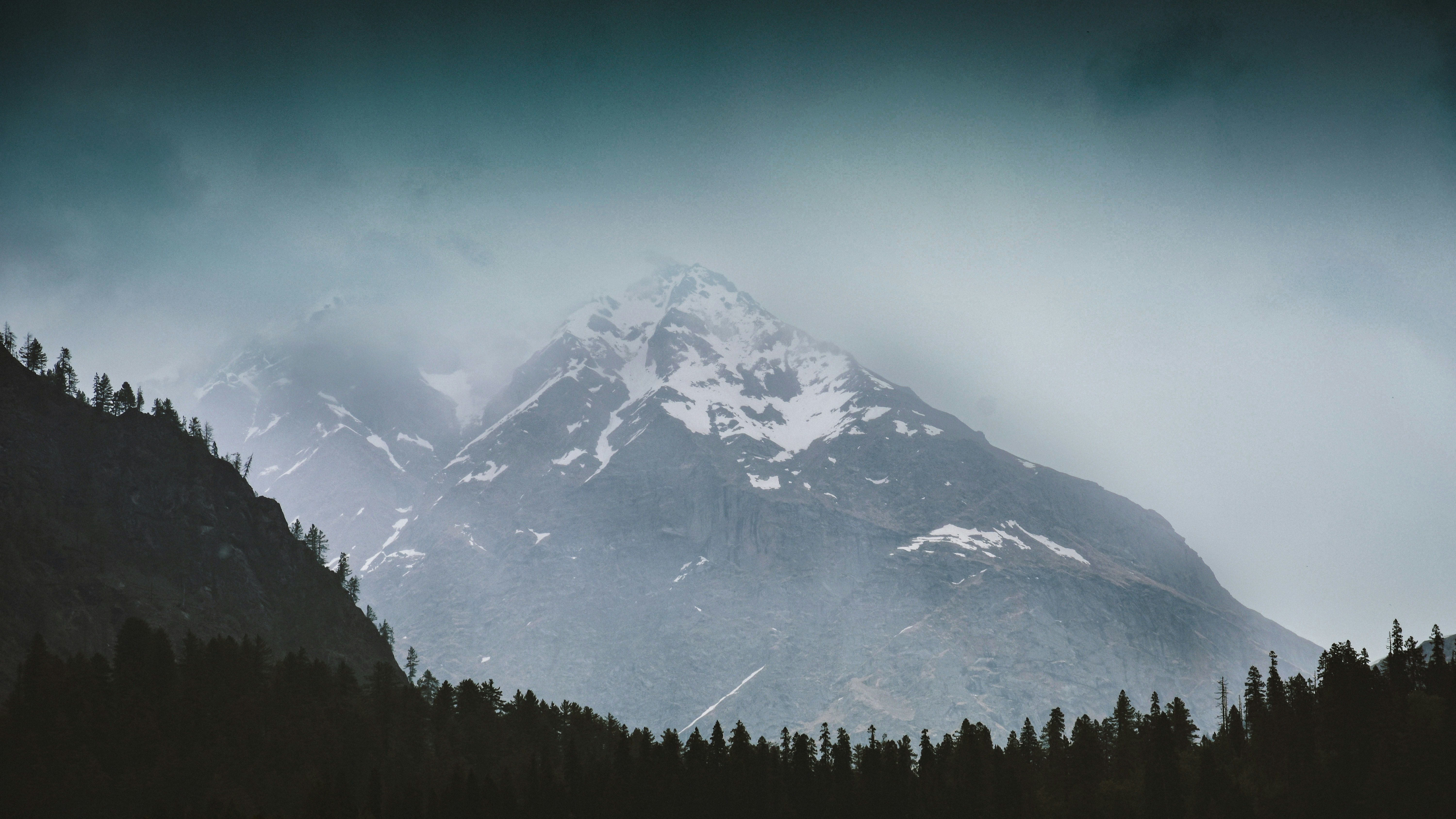前景に木々が積もった山の写真 – Unsplashの植物の無料画像