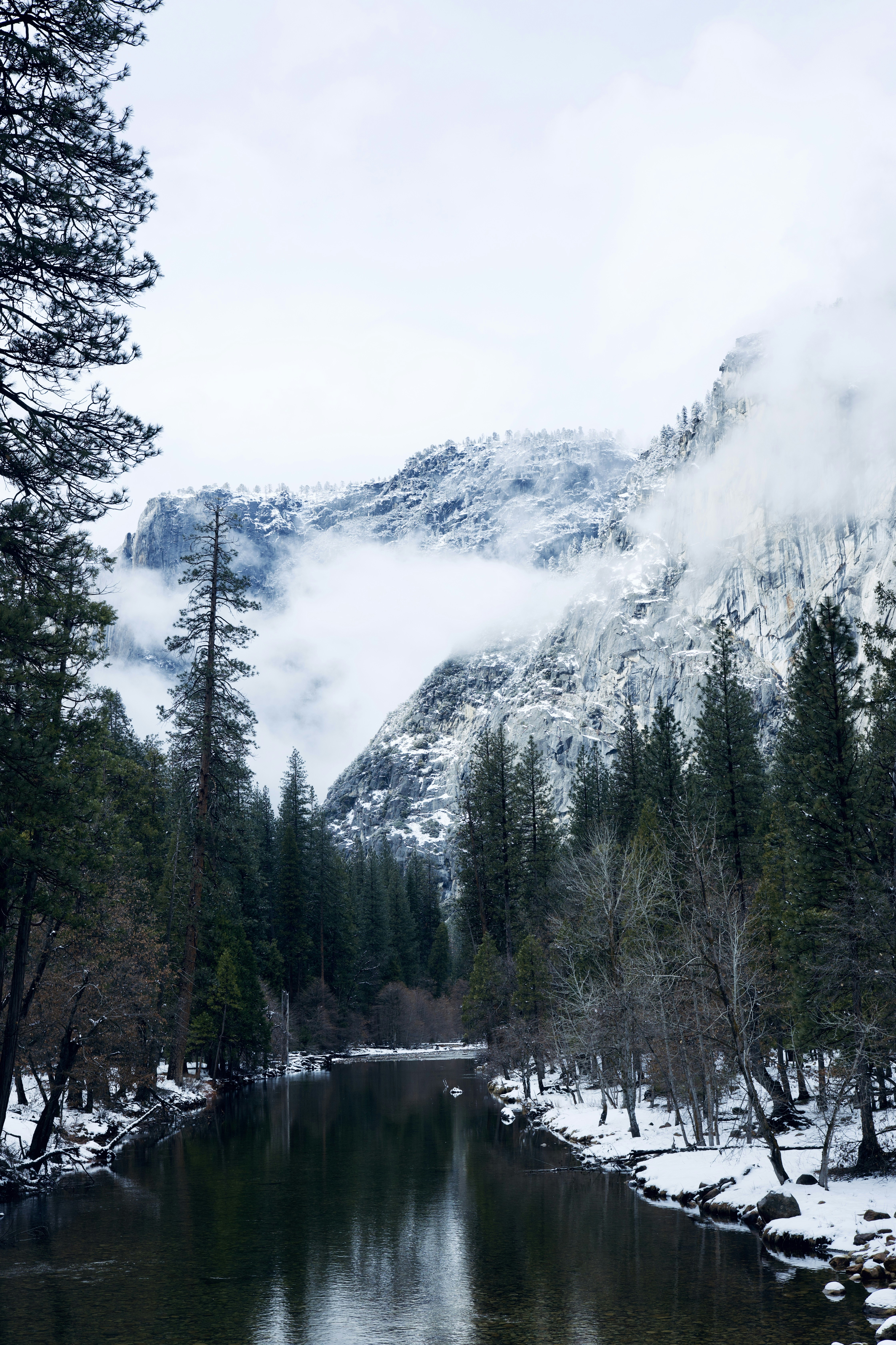 Snow-covered mountains loom over a tranquil river, framed by evergreen trees. The mist adds a mystical quality to the serene winter landscape.