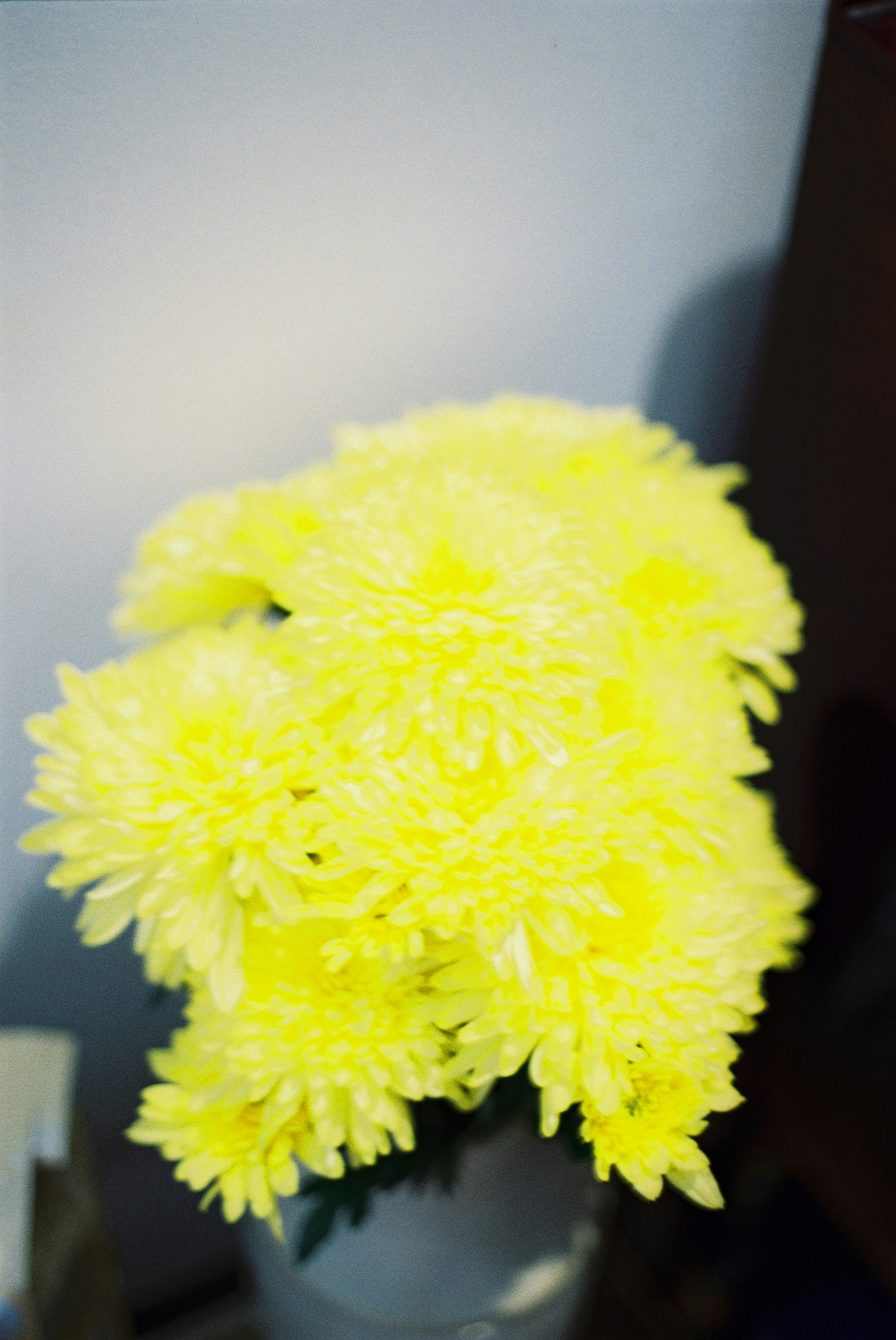 a yellow flower in a gray vase on a table