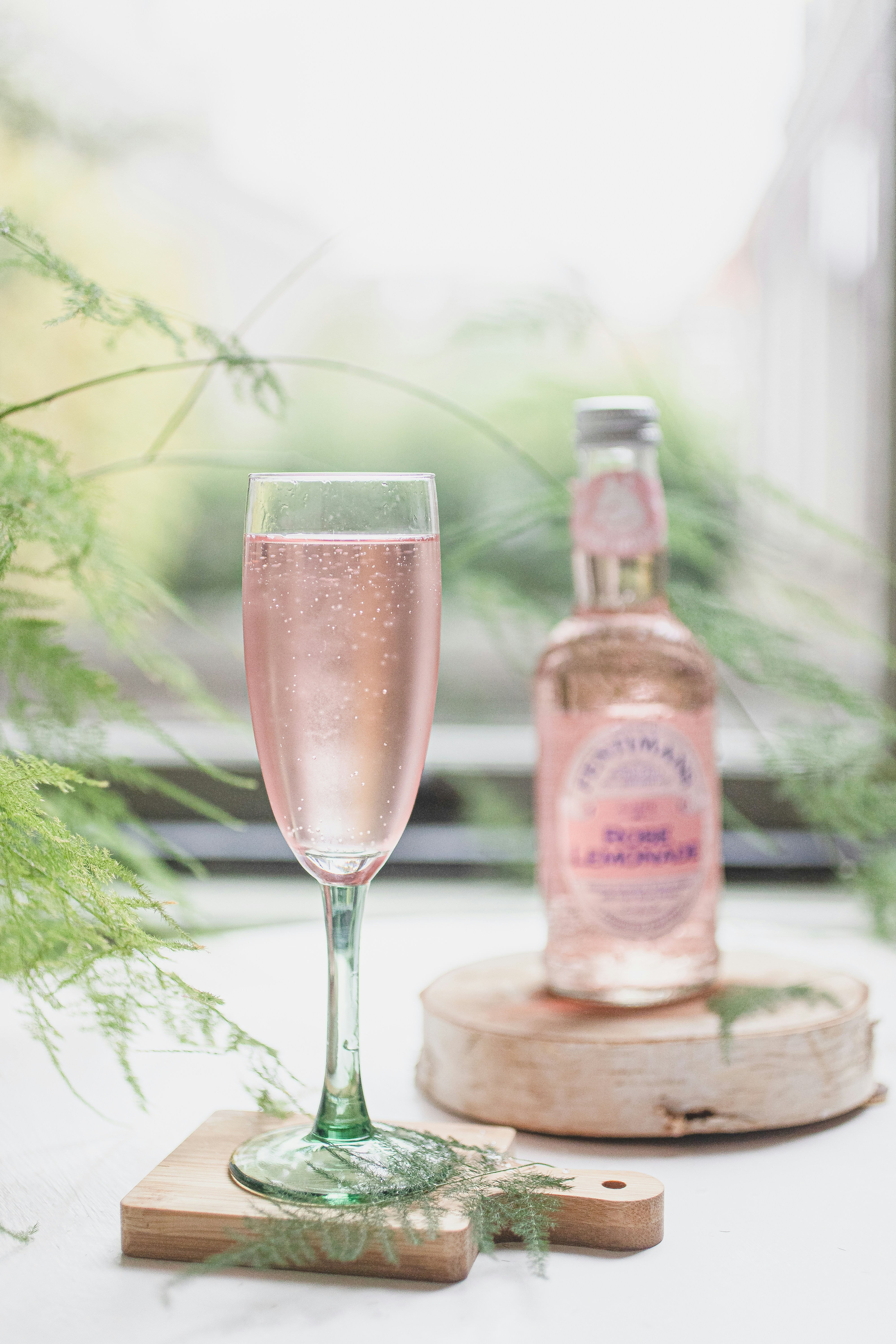 Pink Glow: A Toast of Glass and Ferns