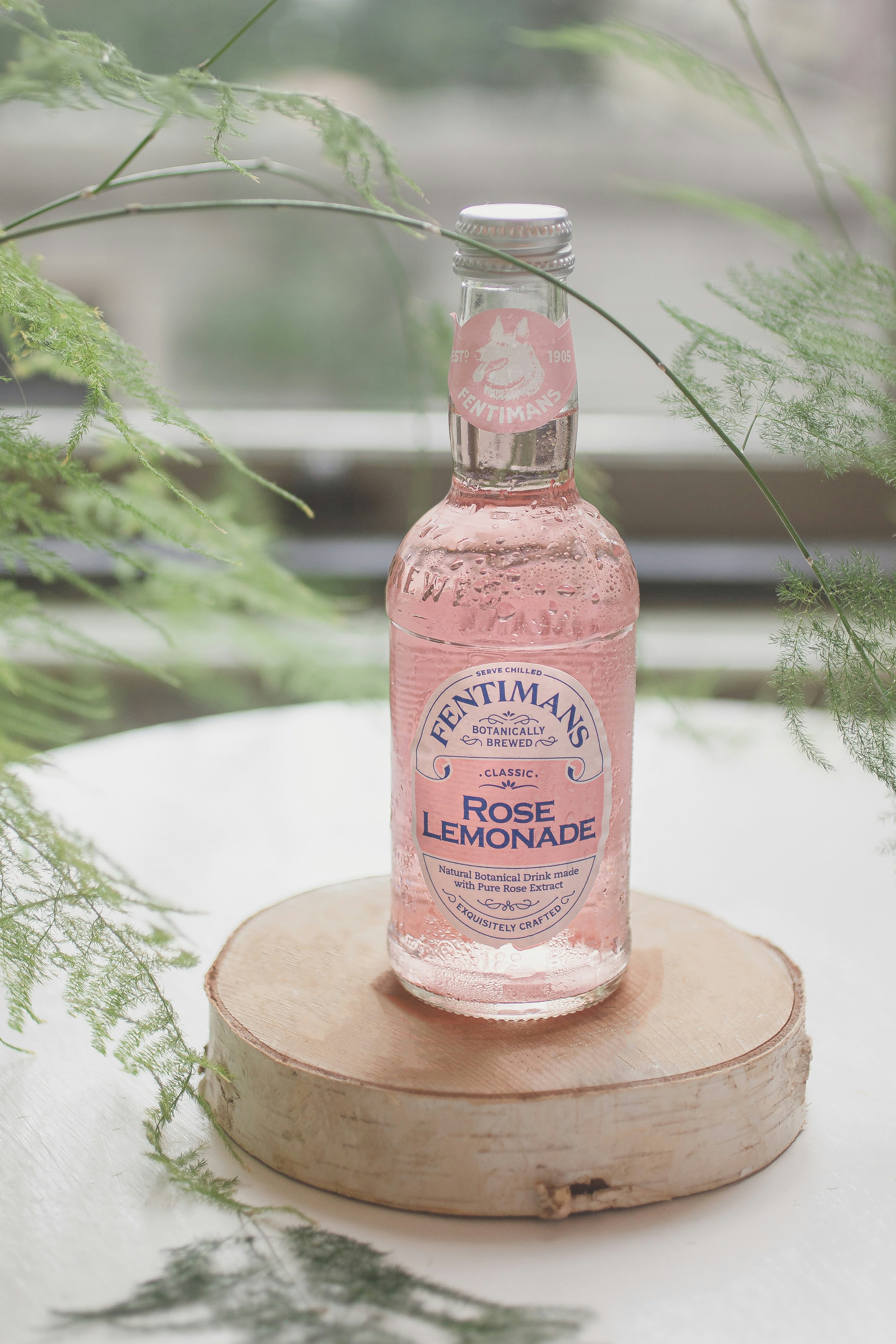 Pink Rose Lemonade on a Wooden Pedestal, Framed by Delicate Ferns