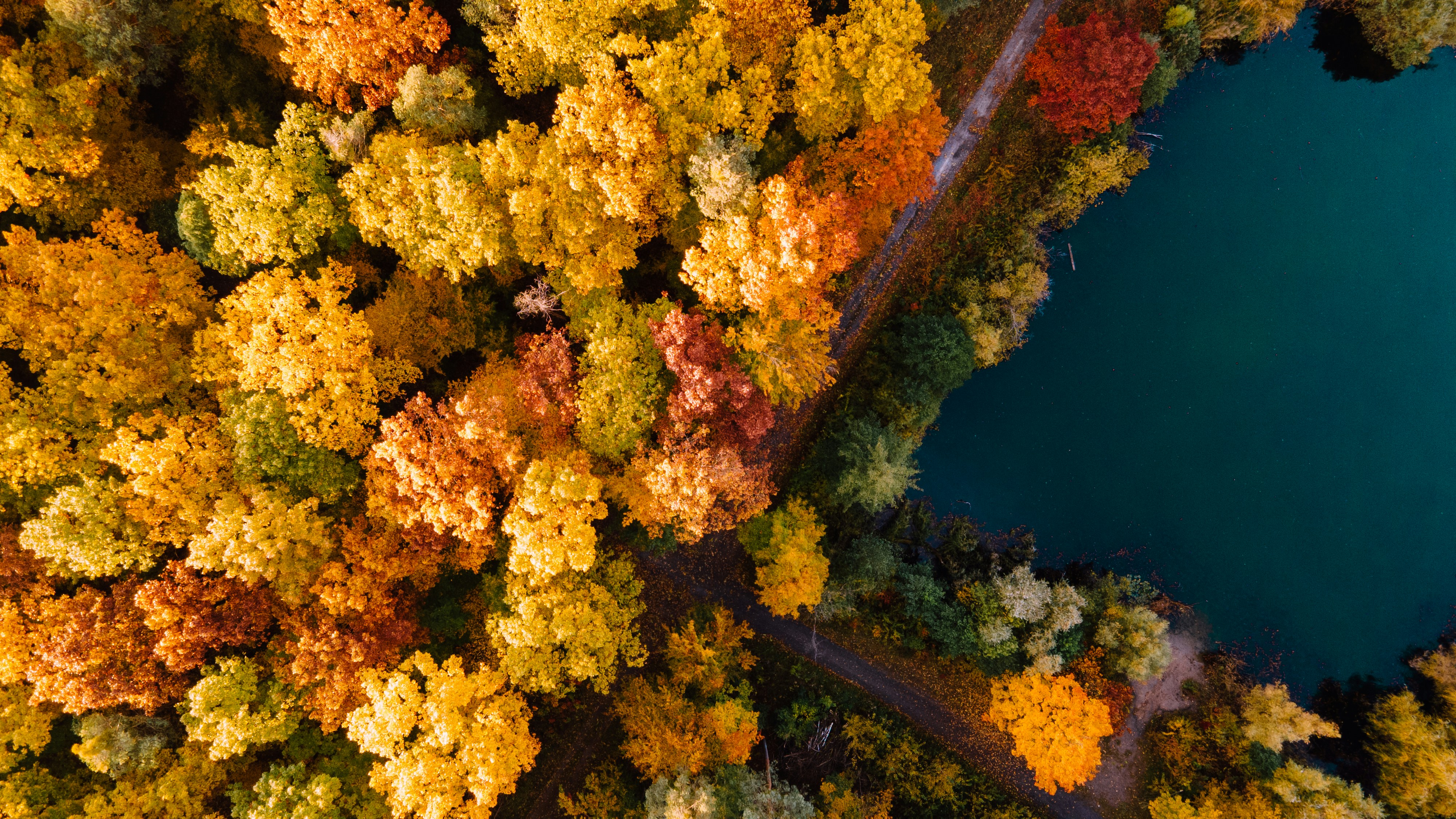 Autumn Corridor Over Teal Waters: A Drone's Perspective