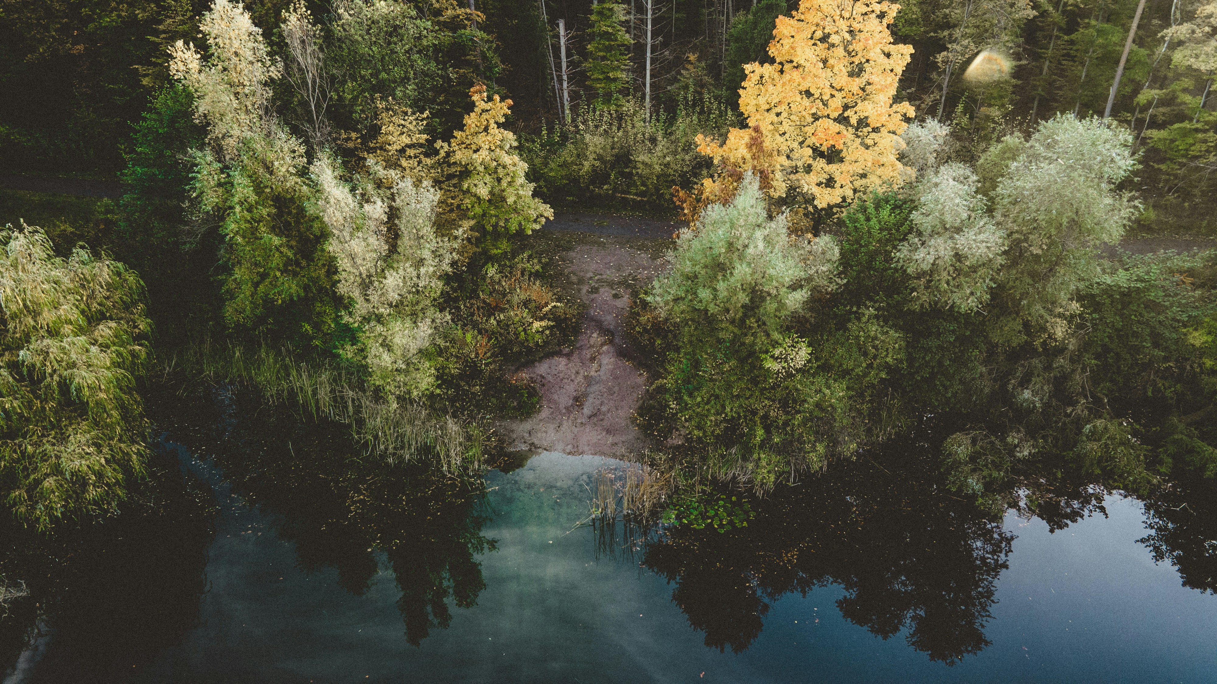 An aerial view of a pond surrounded by trees photo – Free Water Image ...
