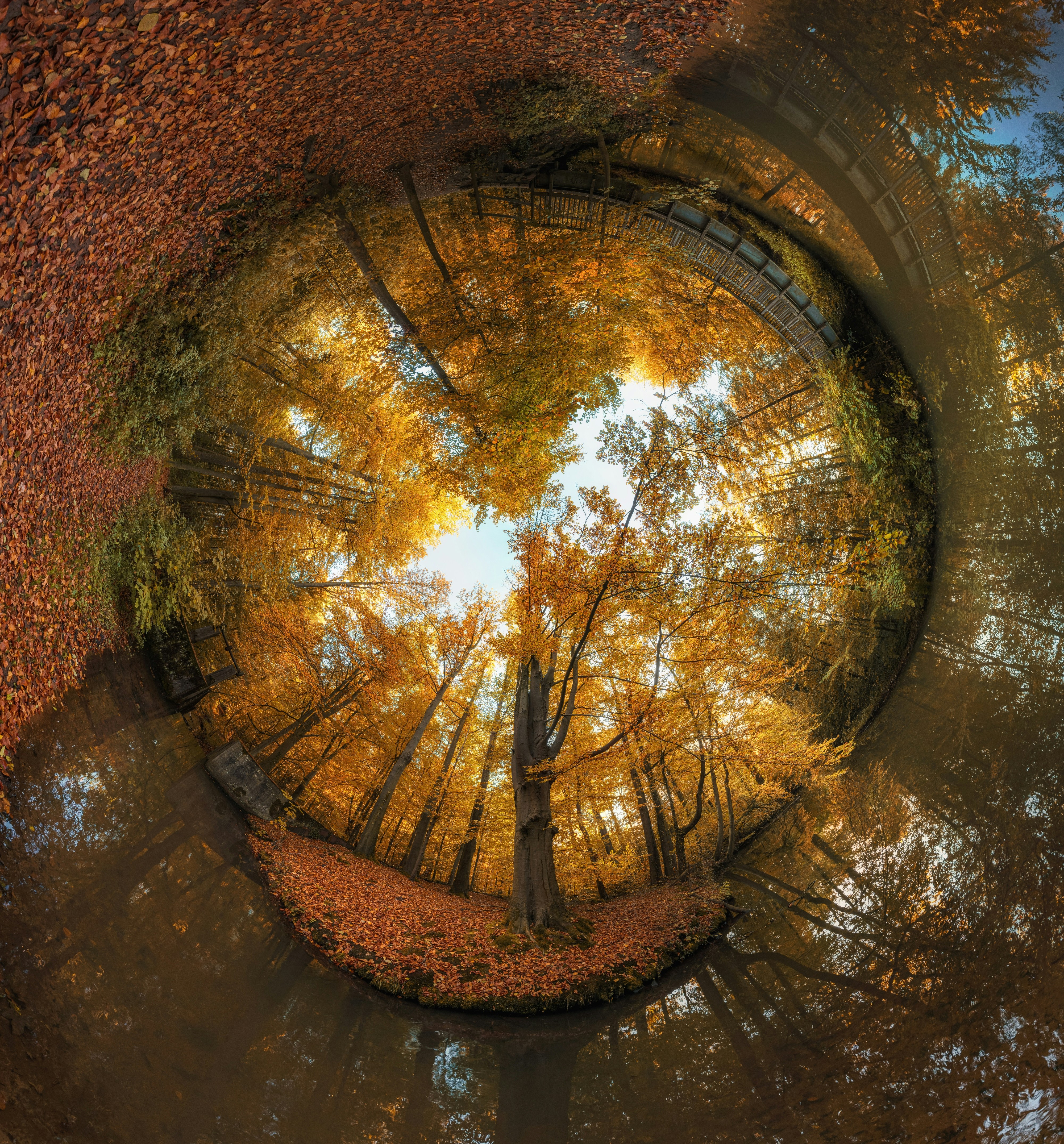 Fish Eye Reflection