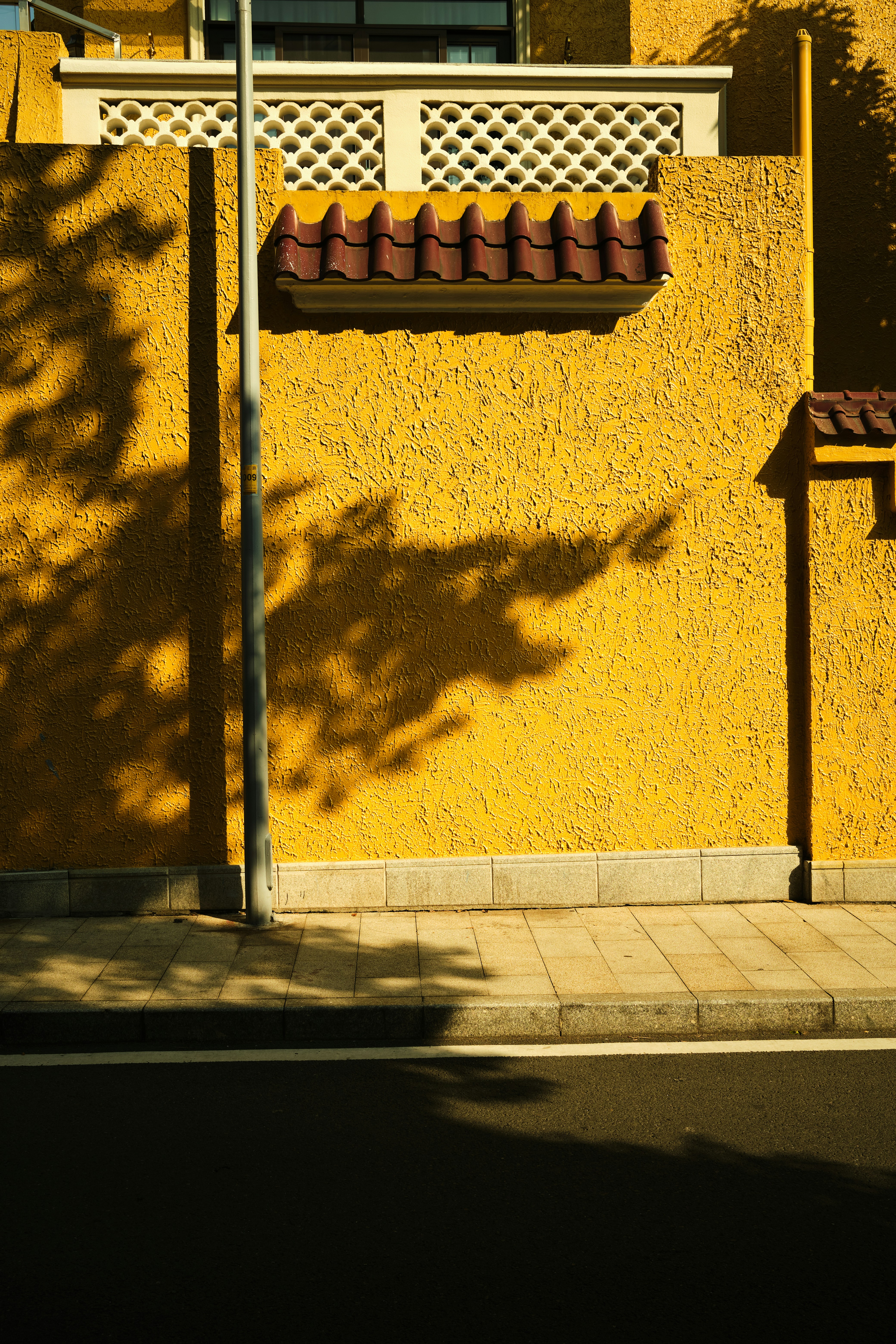 Vivid yellow wall with intricate textures and shadows cast by nearby objects, creating a dynamic visual interplay.