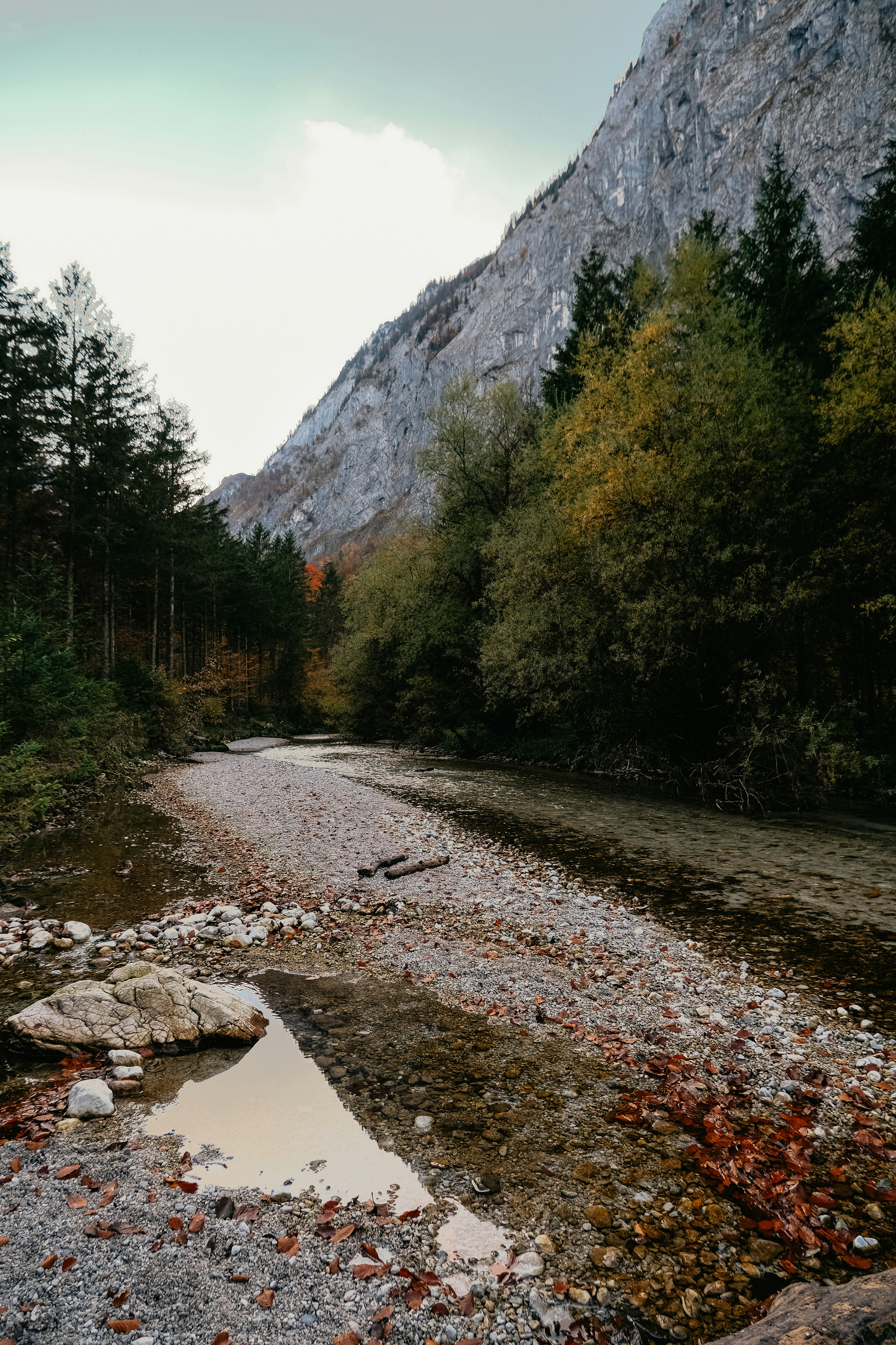 Whispering Riverbank beneath a Granite Promontory