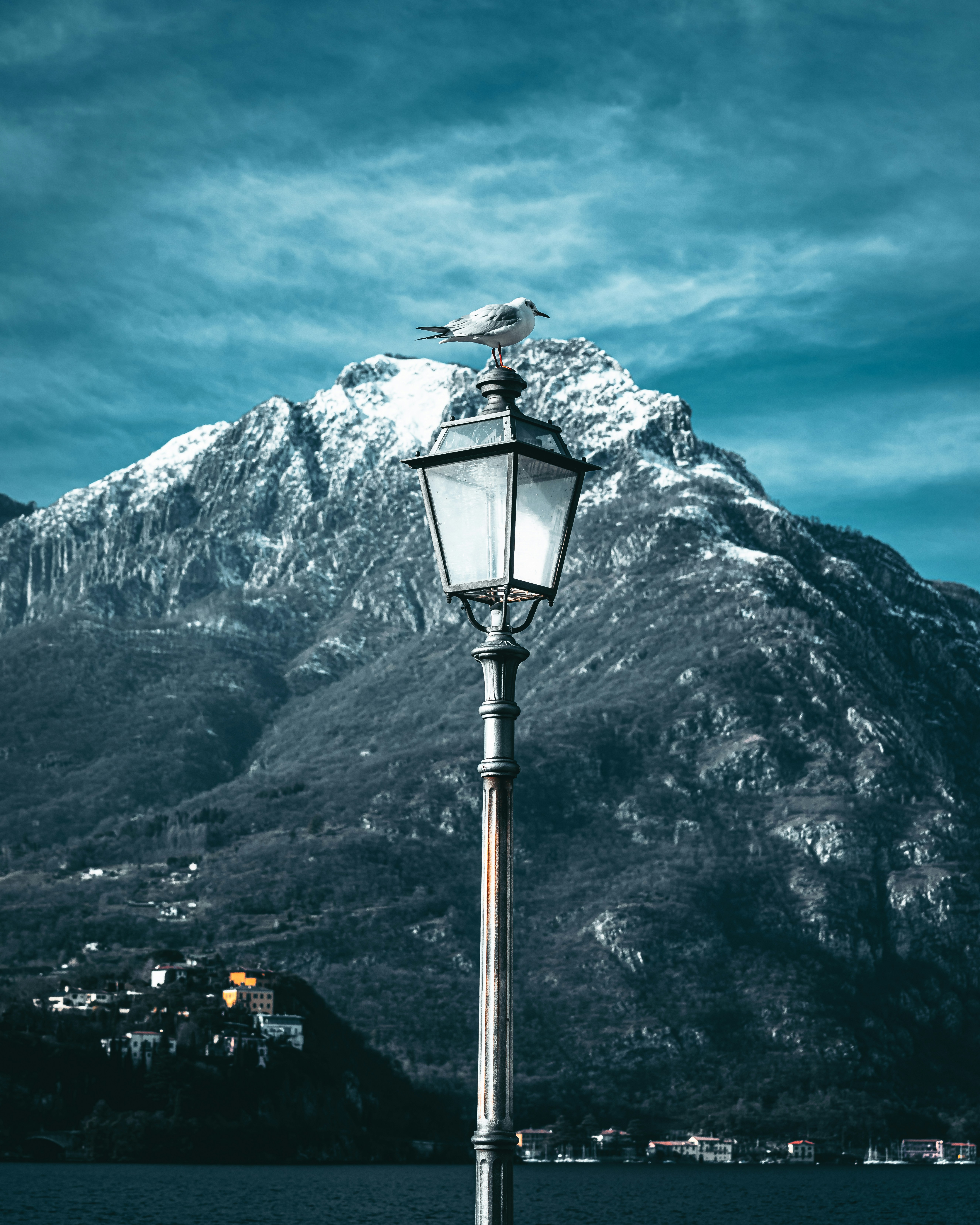 Lantern Keeper: Seagull Perched Against Alpine Giants