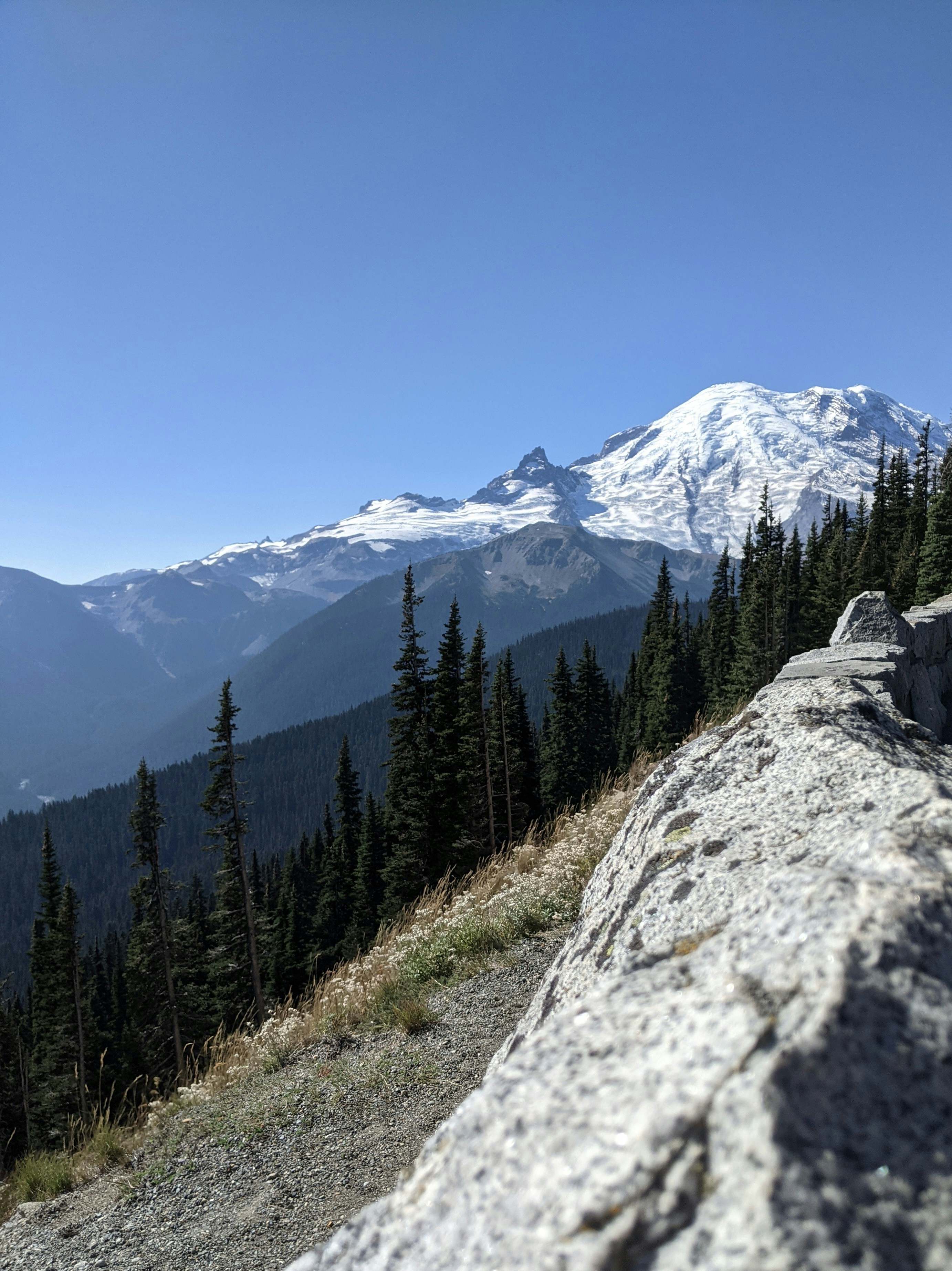 Michael Do (@gomichaeldo) | Unsplash Photo Community
