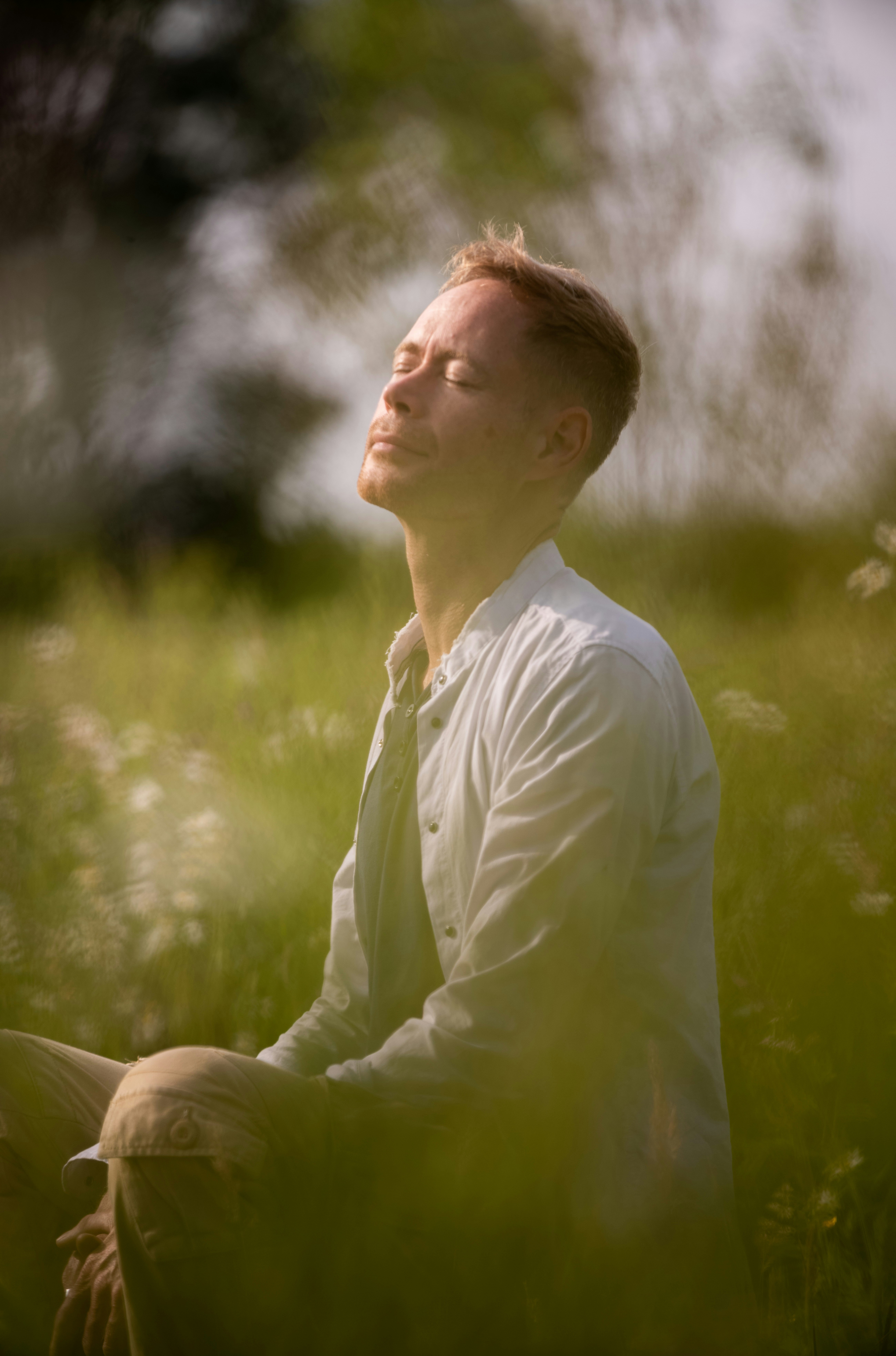 Sunlit Silence: A Moment of Inner Calm in a Field