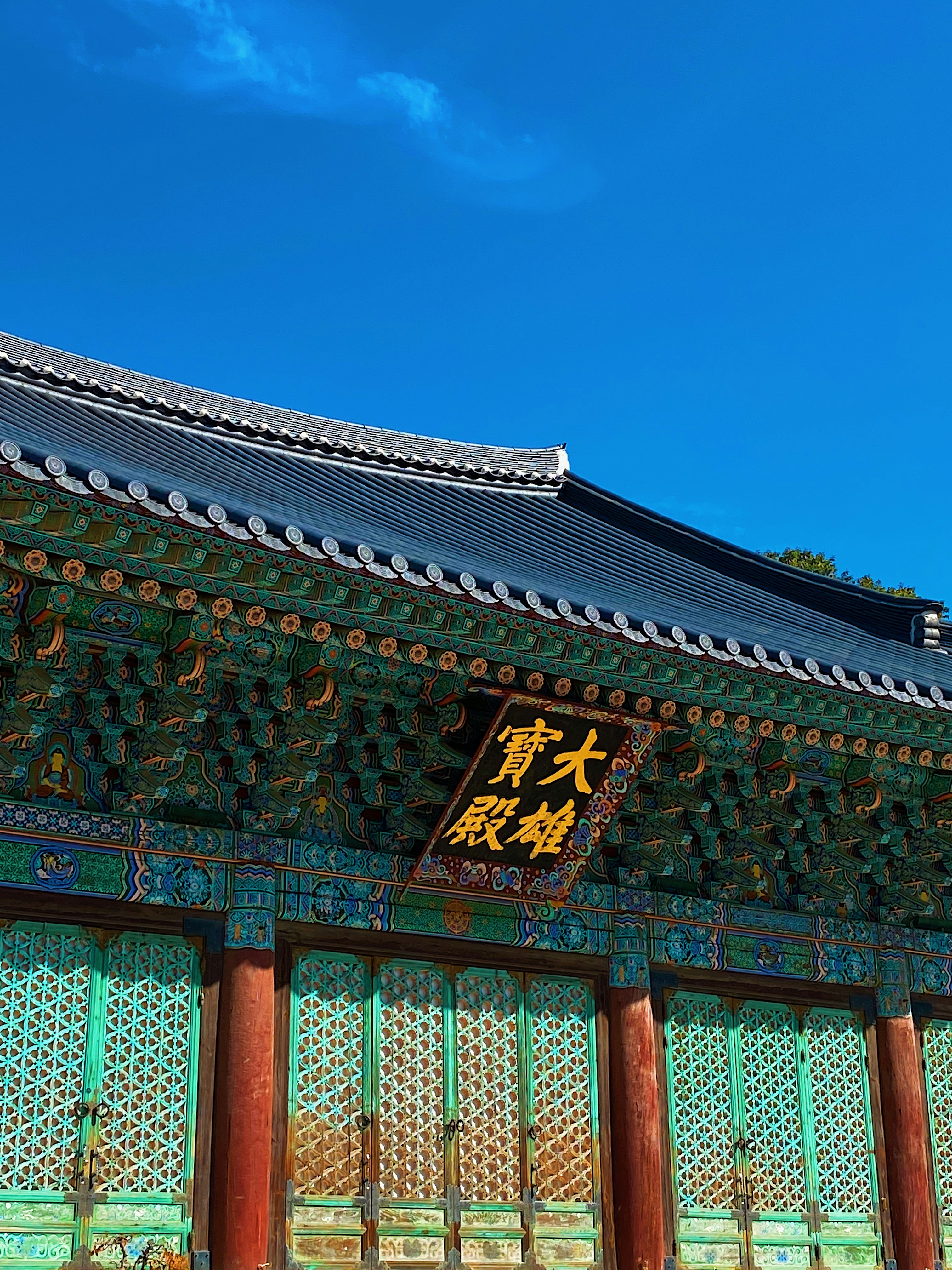 Doyle Shin (@dotgae) | Unsplashフォトコミュニティ