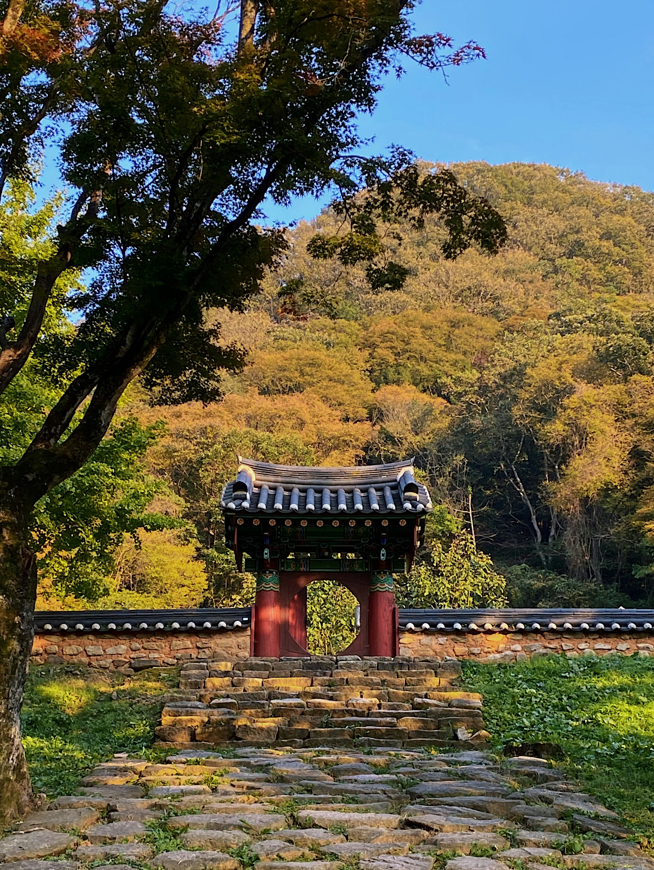 Doyle Shin (@dotgae) | Unsplashフォトコミュニティ