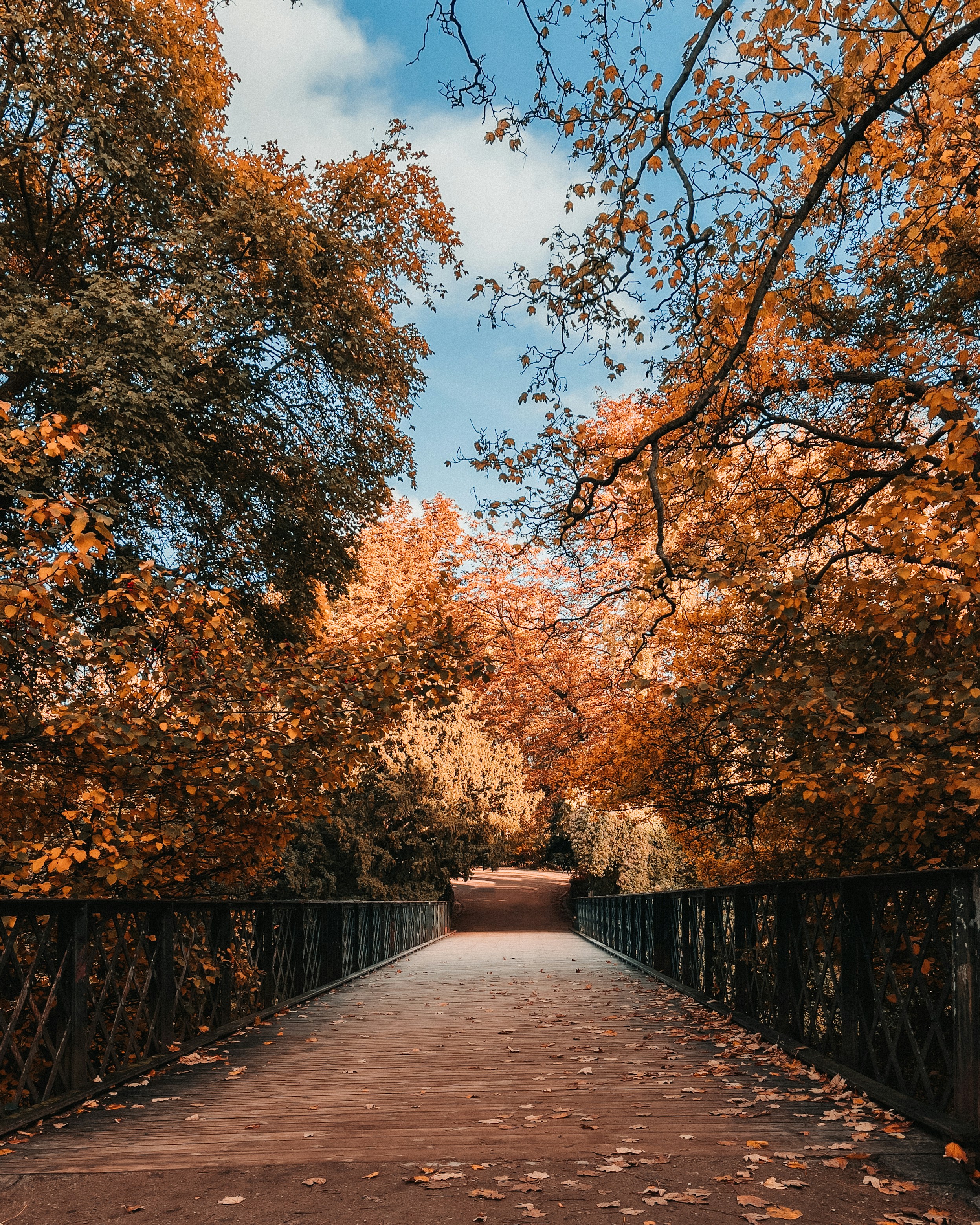 Wooden bridge surrounded by vibrant autumn foliage, leading into a serene path. The scene captures the essence of fall tranquility.