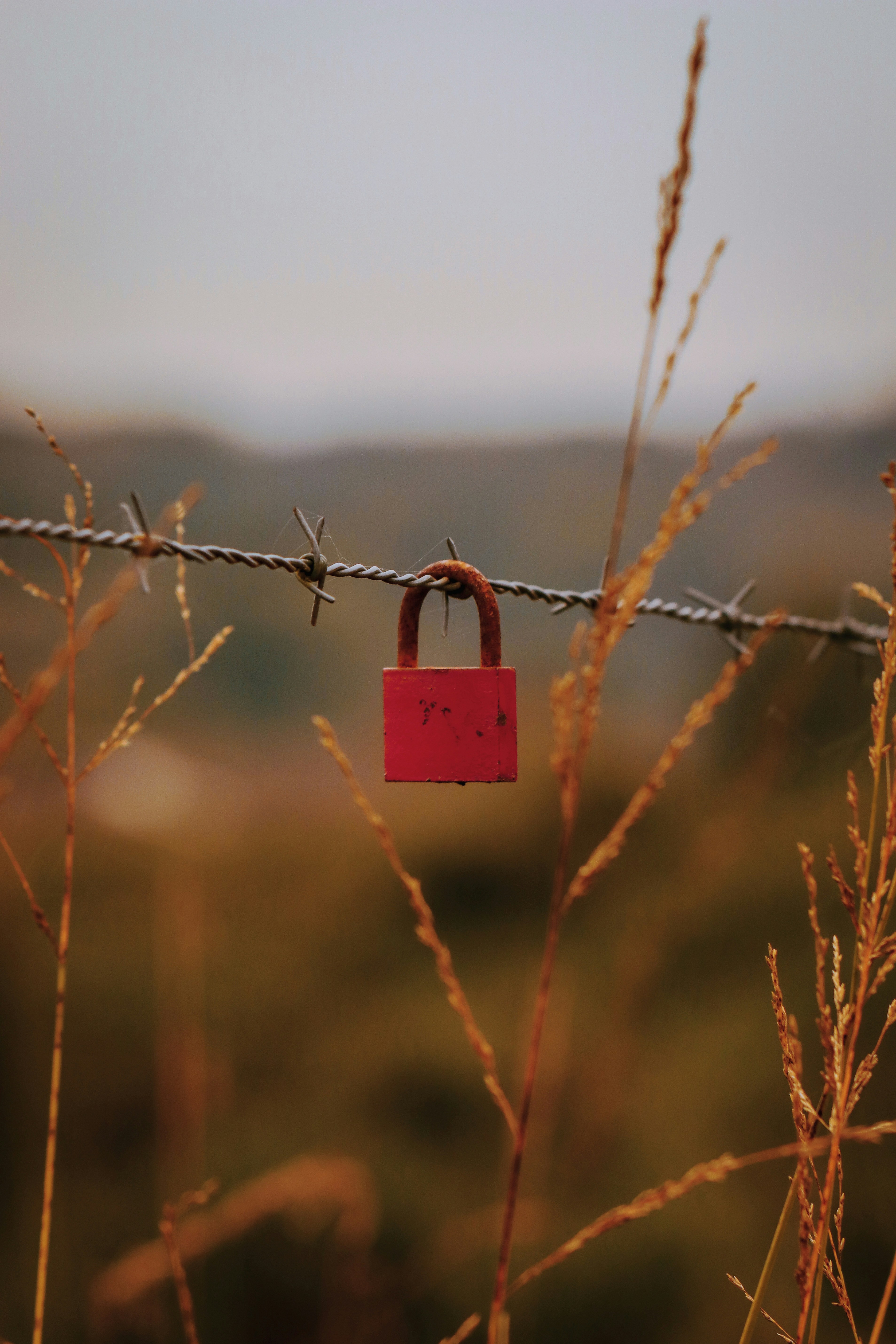 A red padlock attached to a barbed wire fence photo – Free Wire Image ...