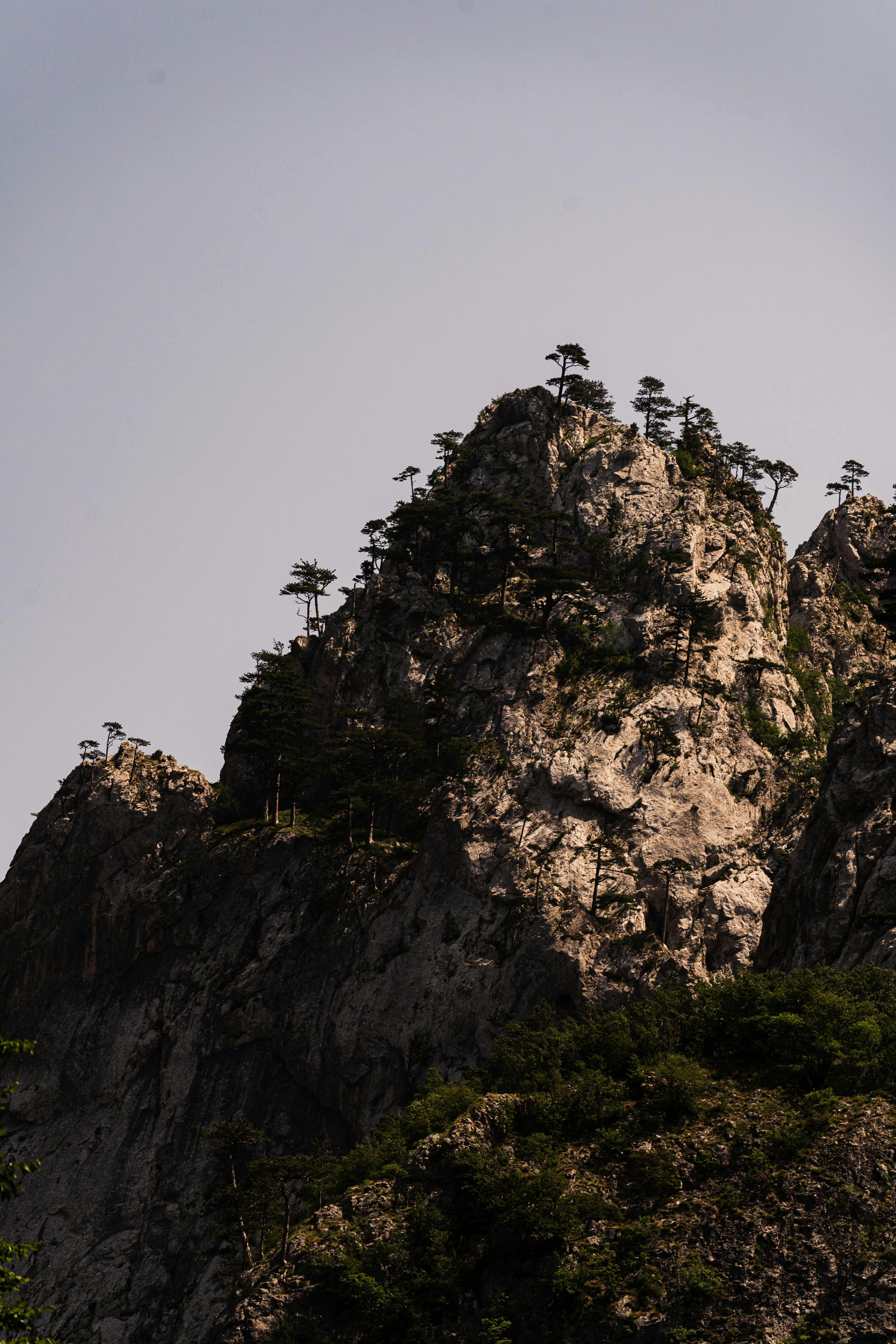 Pine-Topped Summit: A Rugged Granite Outcrop Reaching for the Sky