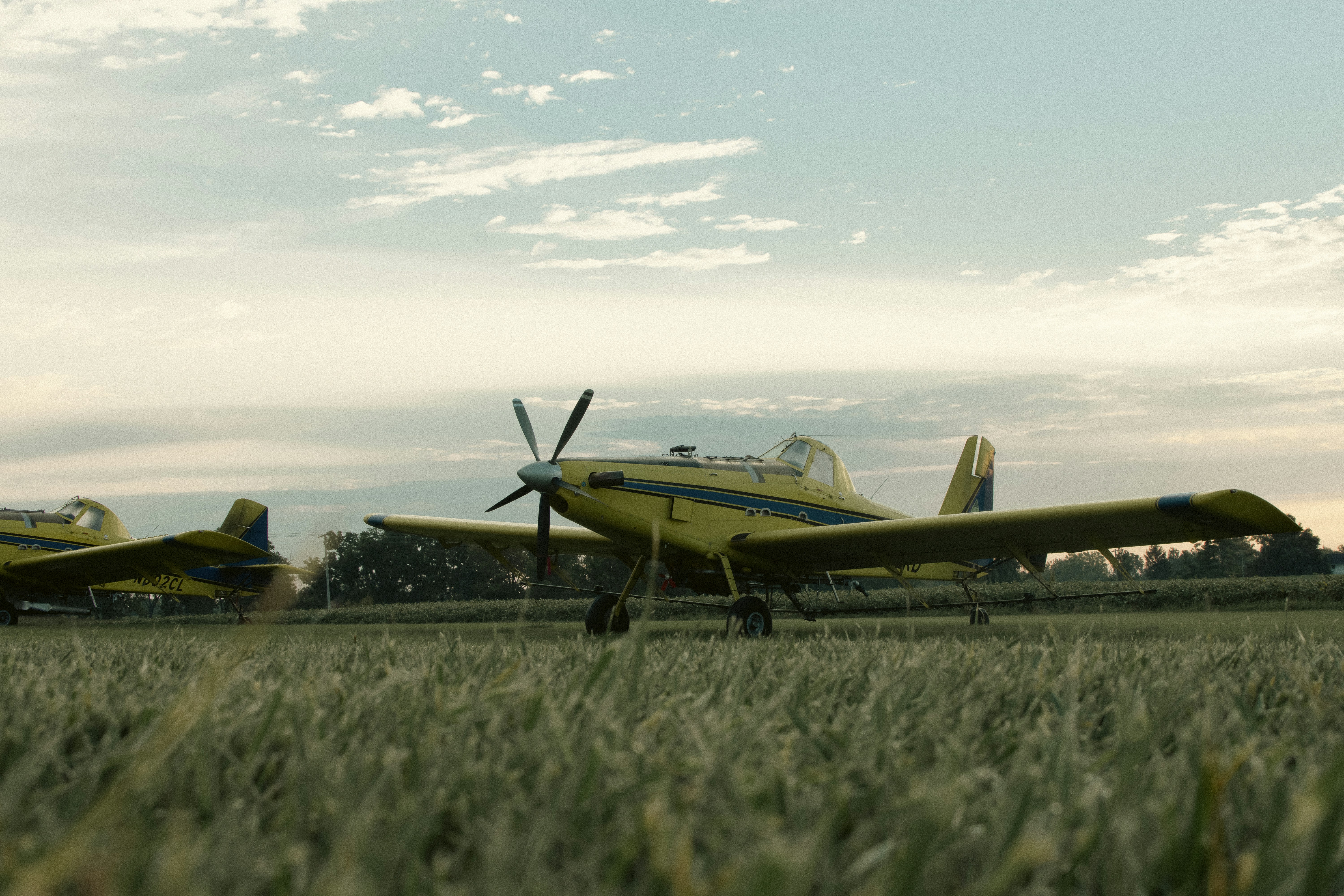 Dawn Patrol on Grass: Yellow Crop Dusters Rest on a Quiet Airfield