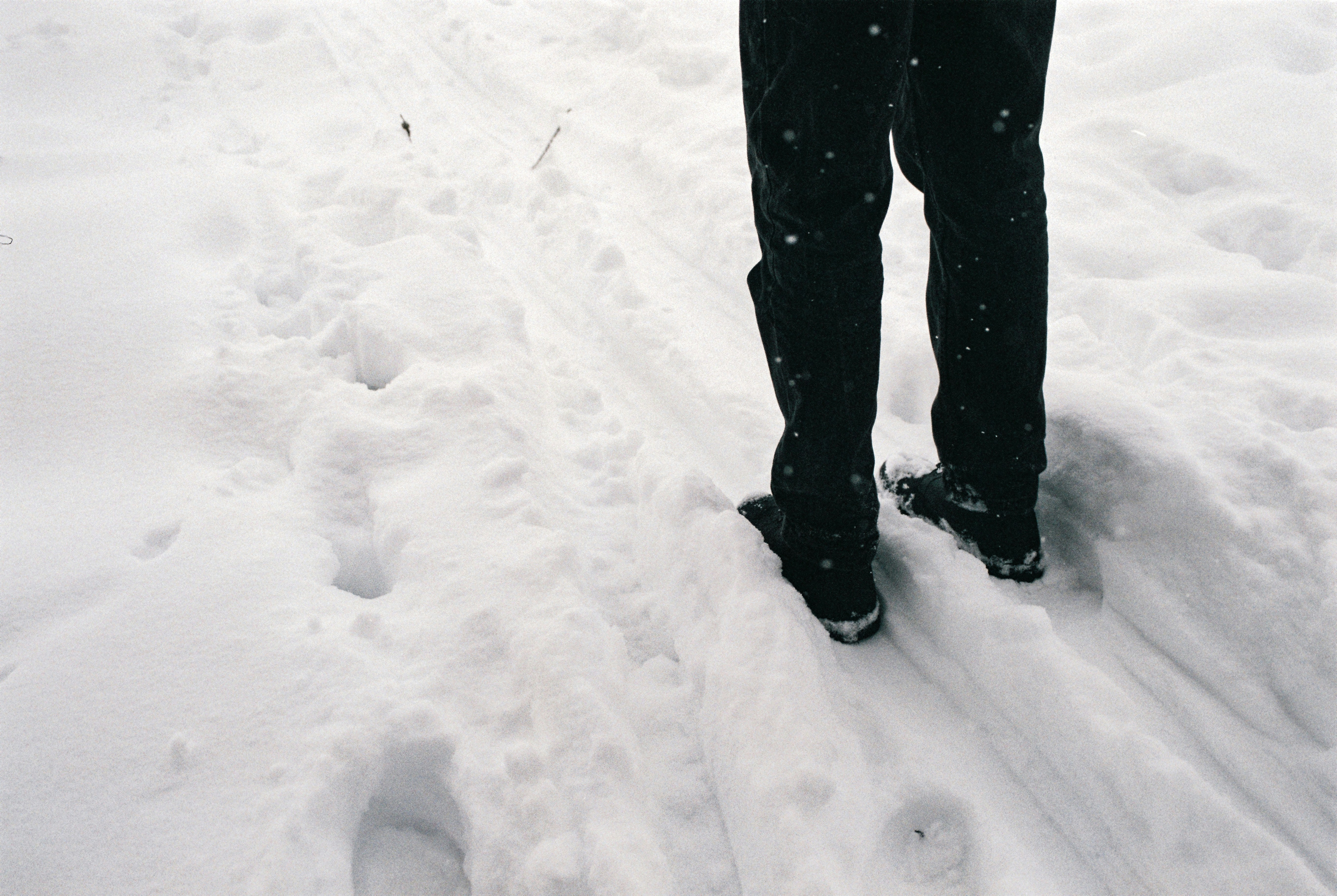 A person standing on a snow covered path photo – Free Film Image on ...