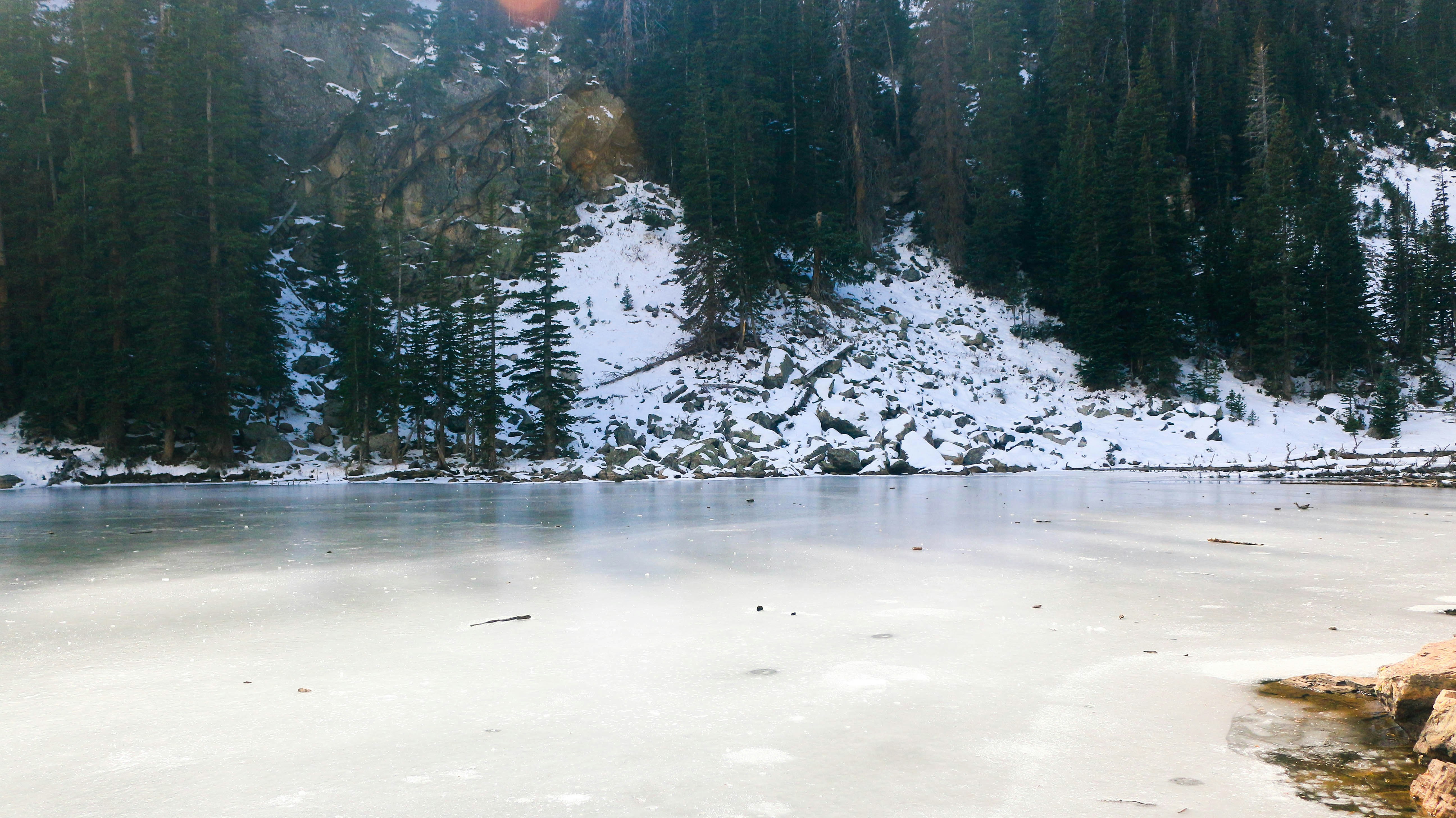 Frozen Shoreline Under Snow‑dusted Pines