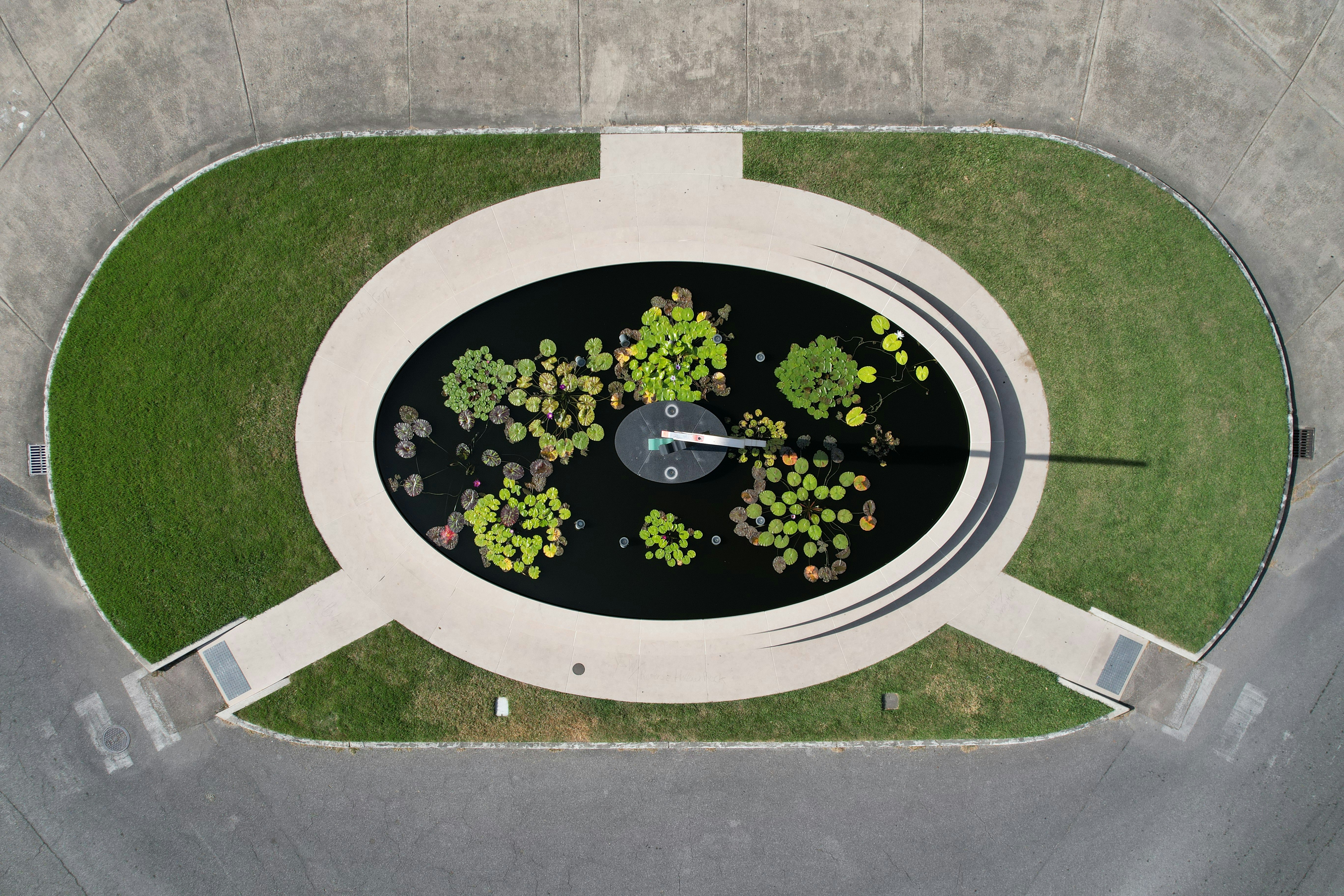Aerial view of a tranquil pond surrounded by lush greenery, featuring vibrant lily pads and a central clock structure. The design harmonizes nature with artistry.