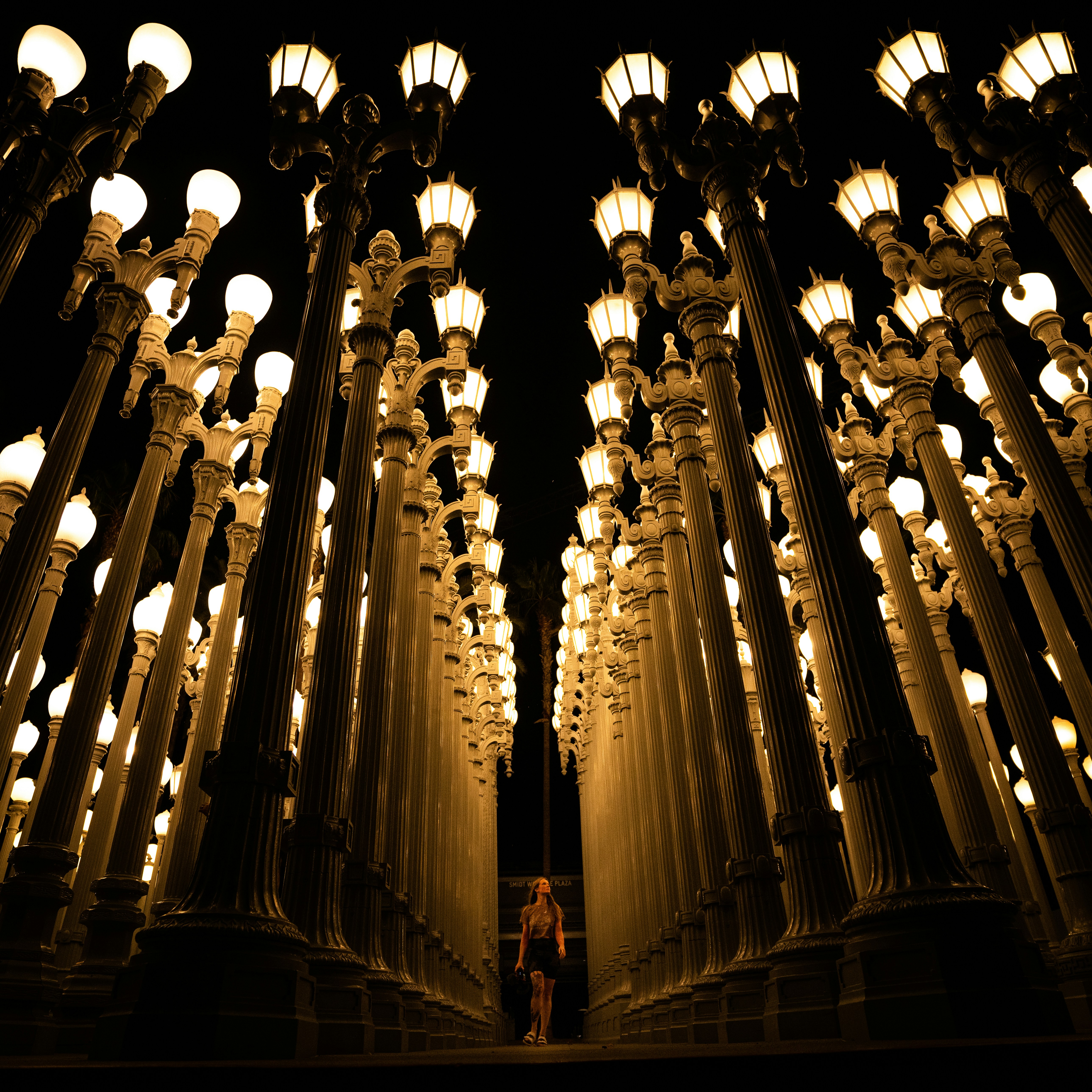 Rows of ornate street lamps illuminate a dark pathway, creating a surreal ambiance. A figure stands amidst the glowing columns.