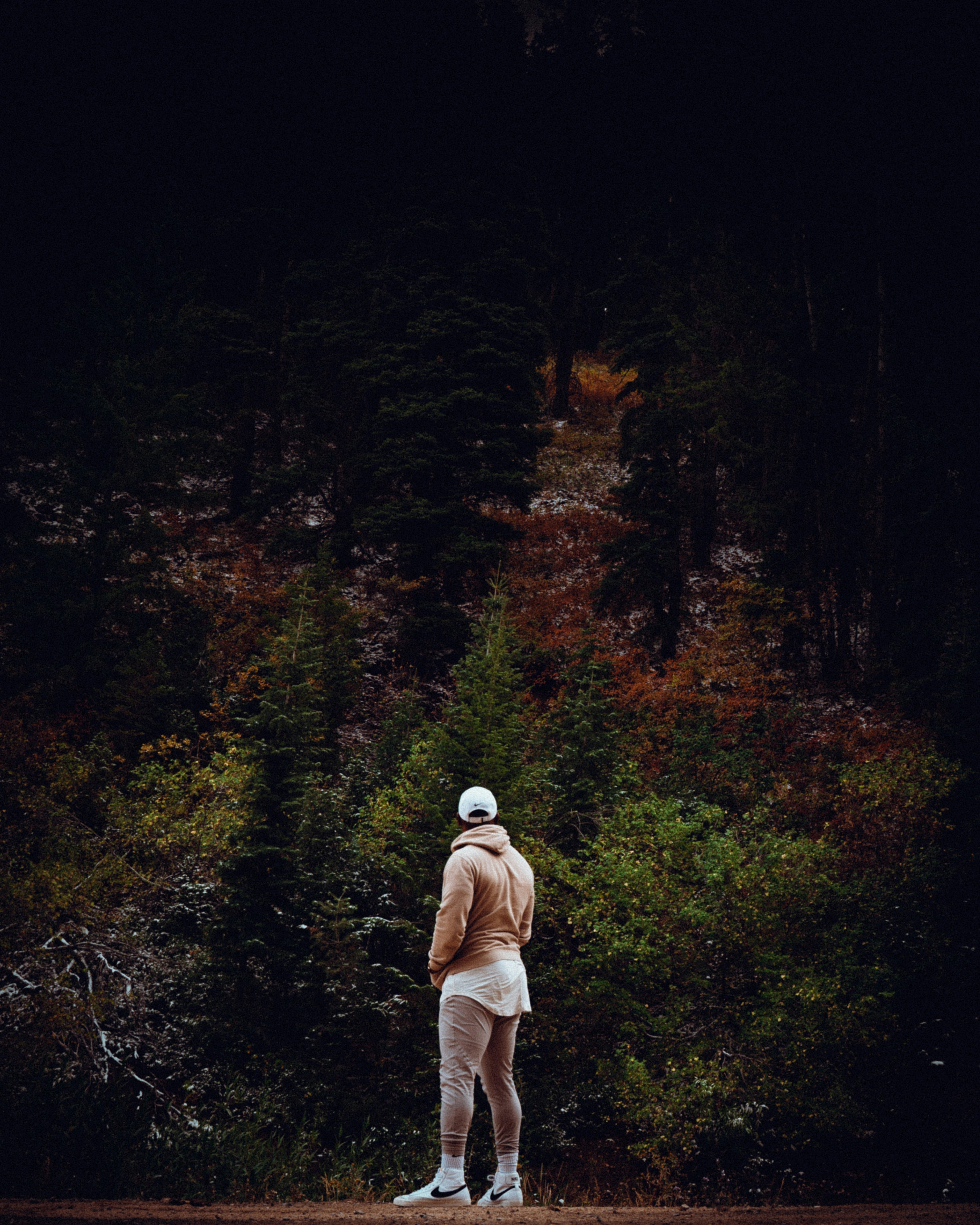 Between Shadows and Light: A lone figure in the dim forest corridor