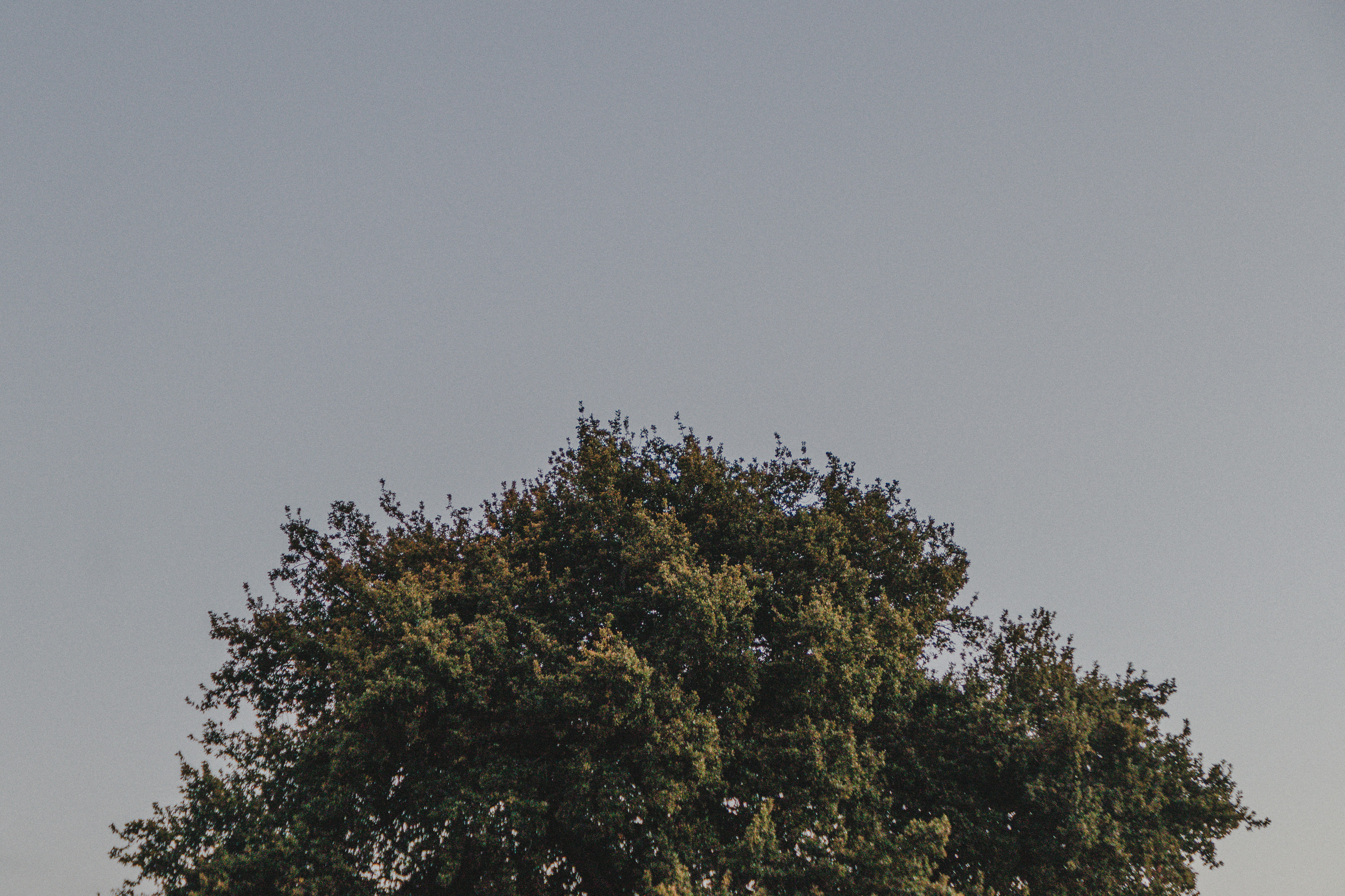 Photo by britt gaiser with Canon EOS 80D